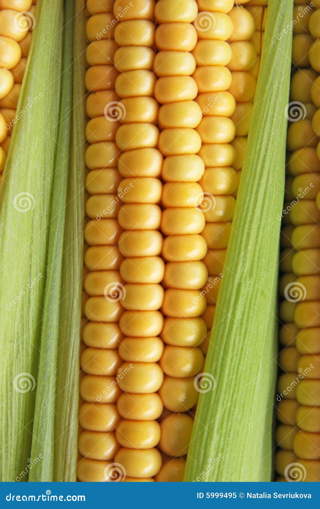 Maize stock image. Image of delicacy, natural, closeup - 5999495