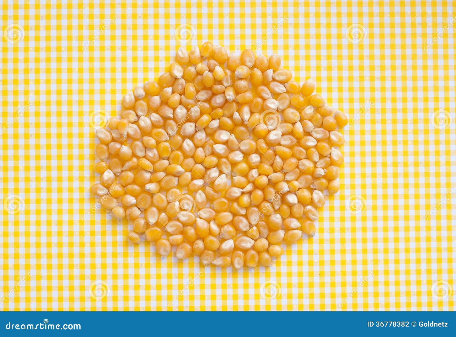 Maize stock photo. Image of ingredient, industrial, organic - 36778382