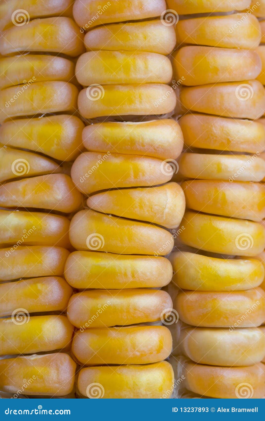 Maize on the Cob stock image. Image of seed, kernal, macro - 13237893