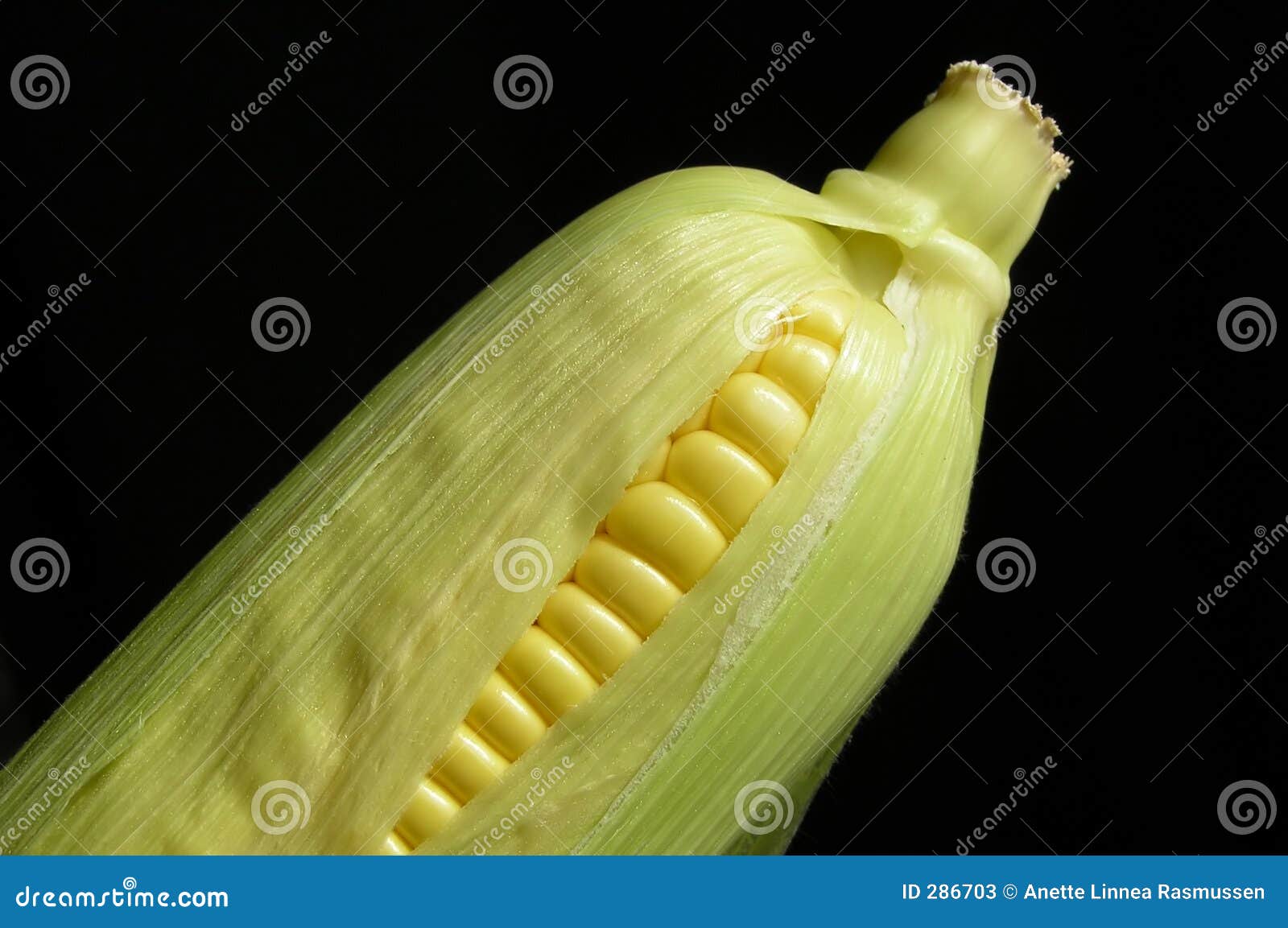 Maize cob stock image. Image of food, macro, nature, black - 286703