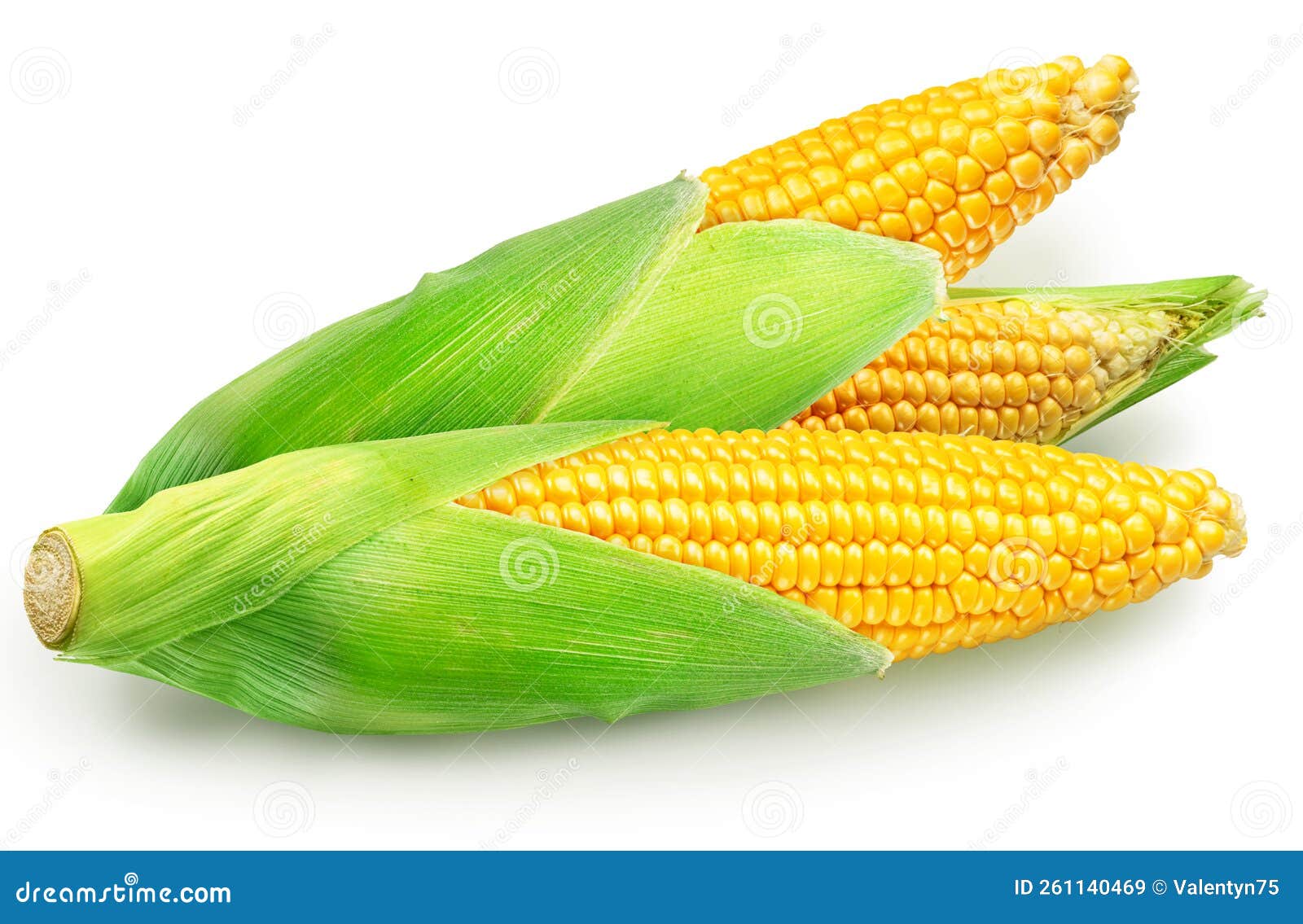 Maize Cobs Sweet Corn On The Cob Yellow Whole Ear-maize Ear-corn ...