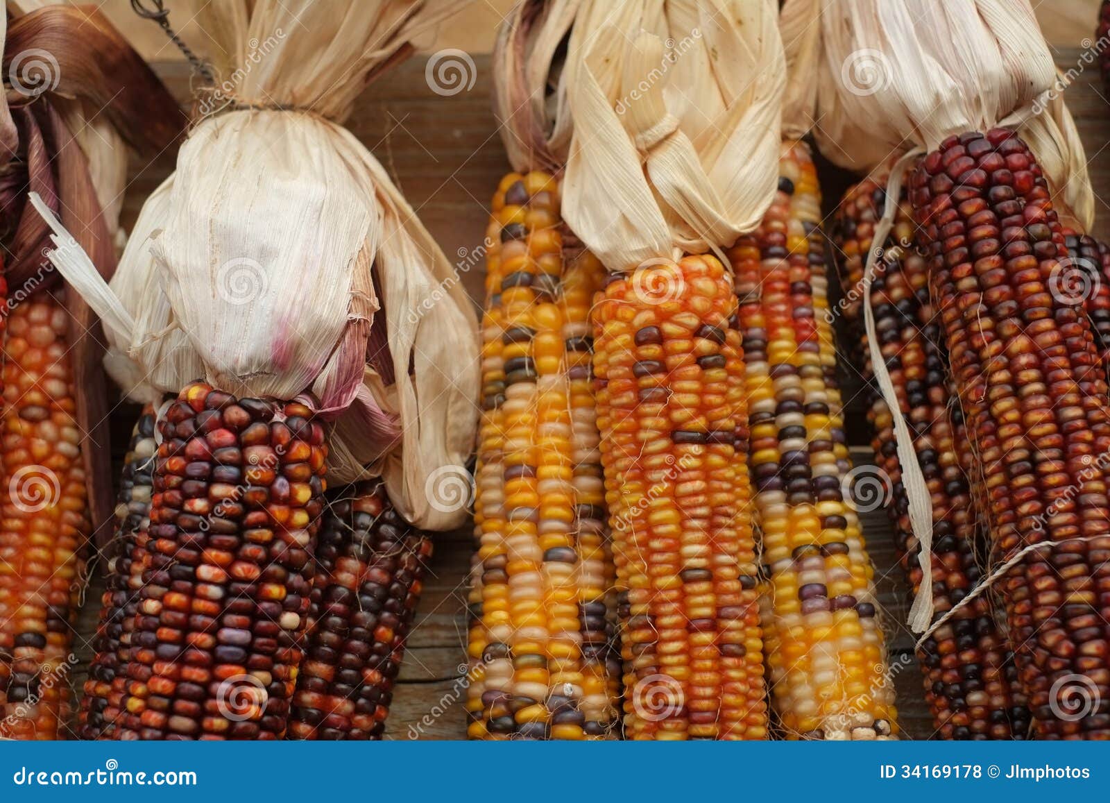 Royalty Free Images, Cartoons, Illustrations And Photos Designed By ...