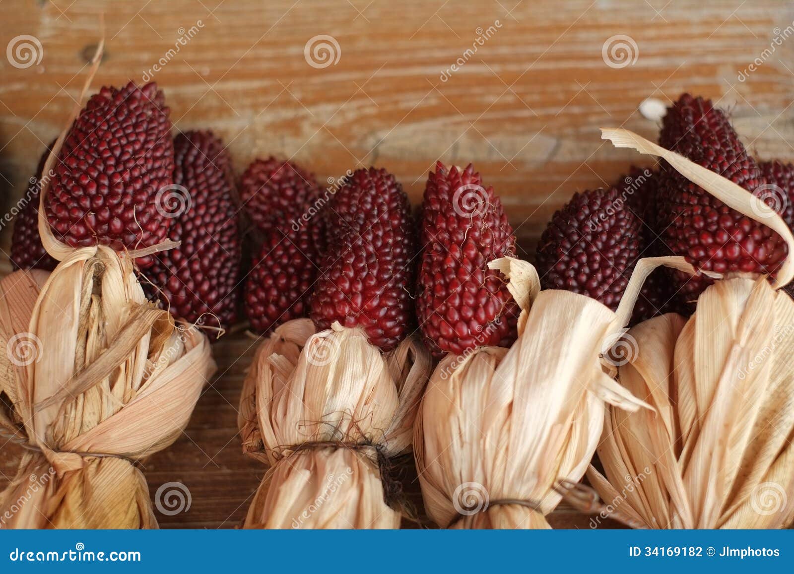 Maize colorful Indian corn stock photo. Image of colorful - 34169182