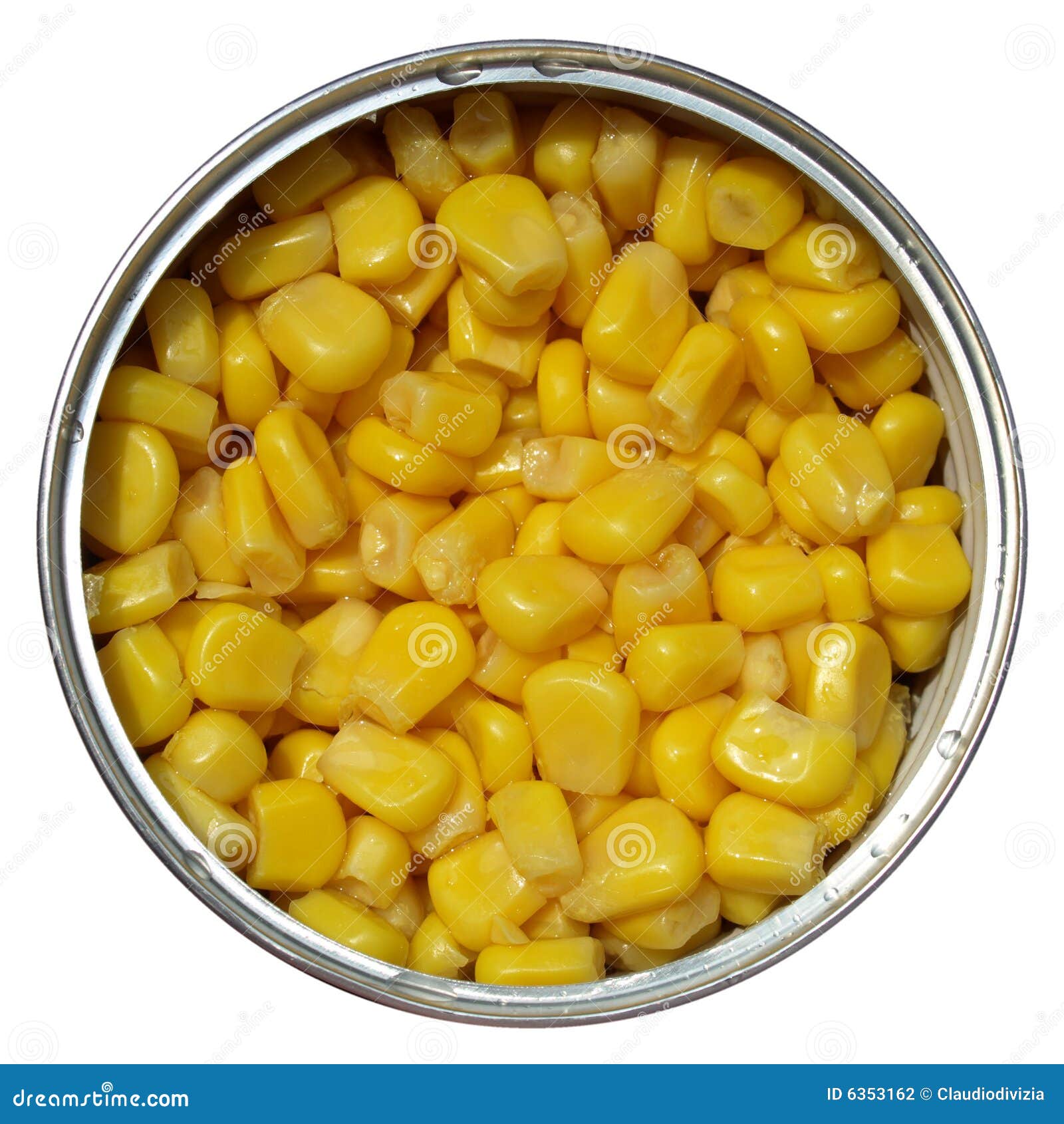 Maize corn stock photo. Image of maize, modified, isolated - 6353162