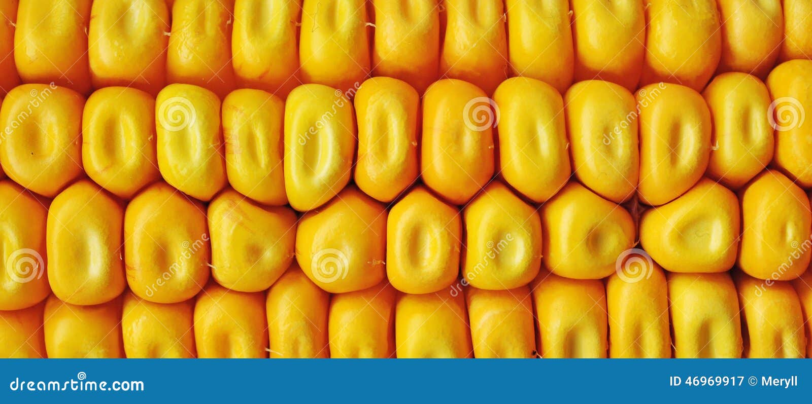 Maize Or Corn Seeds And Grains, Pile Of Maize Kernels That Is Used For ...