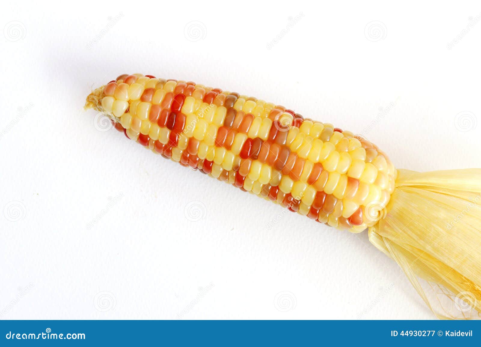 Maize corn stock image. Image of yellow, nature, fresh - 44930277