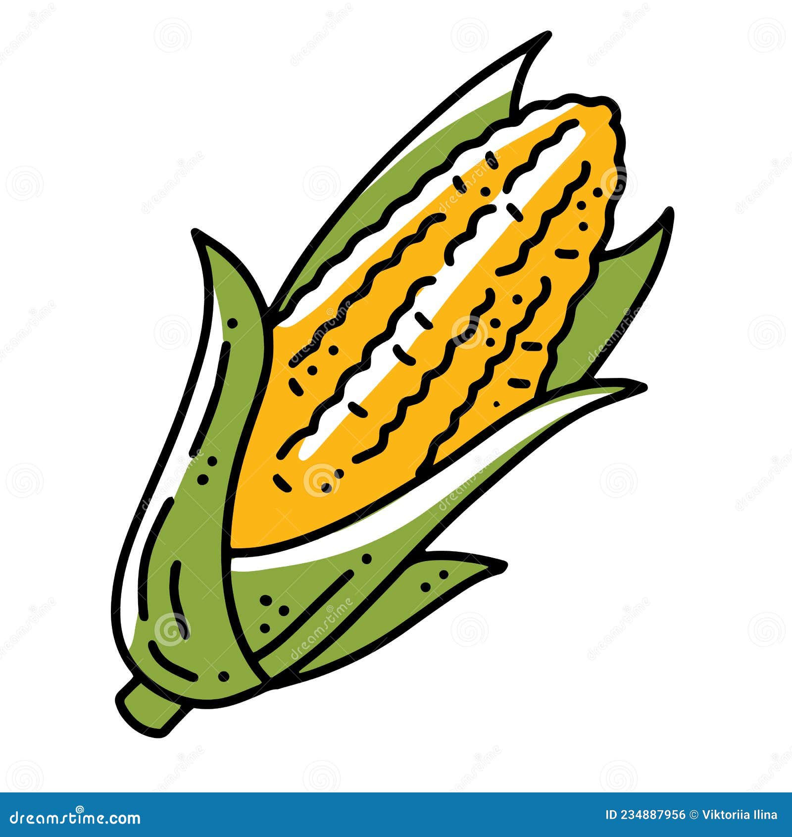 Maize Or Corn Growth Stages In Form Of Infographic Cartoon Vector ...