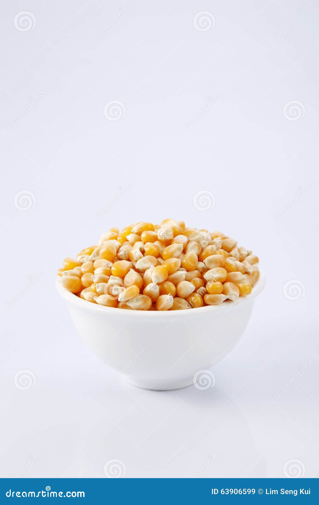Maize corn stock image. Image of natural, nature, maize - 63906599