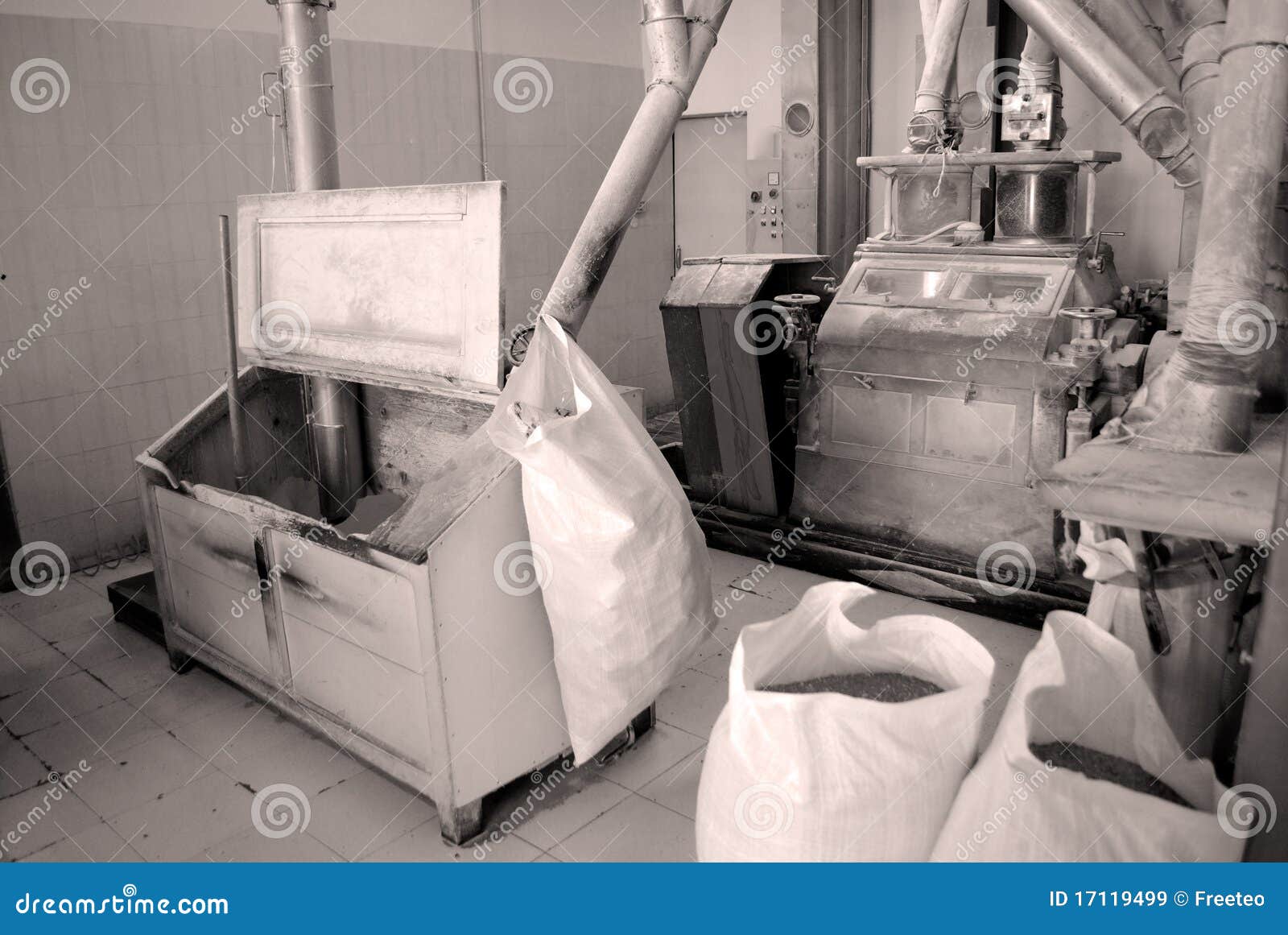 Maize flour stock image. Image of aliment, organic, yellow - 17119499