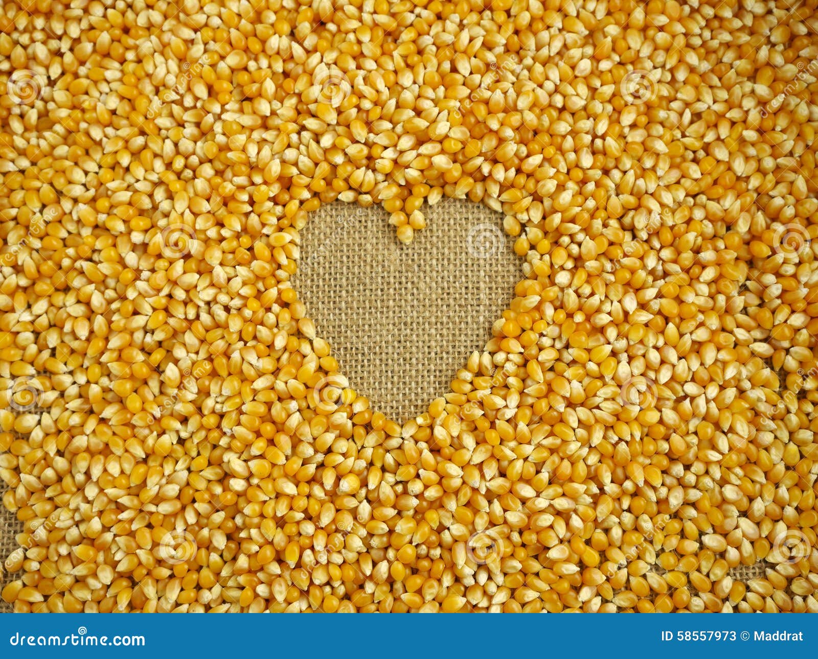 Maize grains background stock image. Image of kernel - 58557973