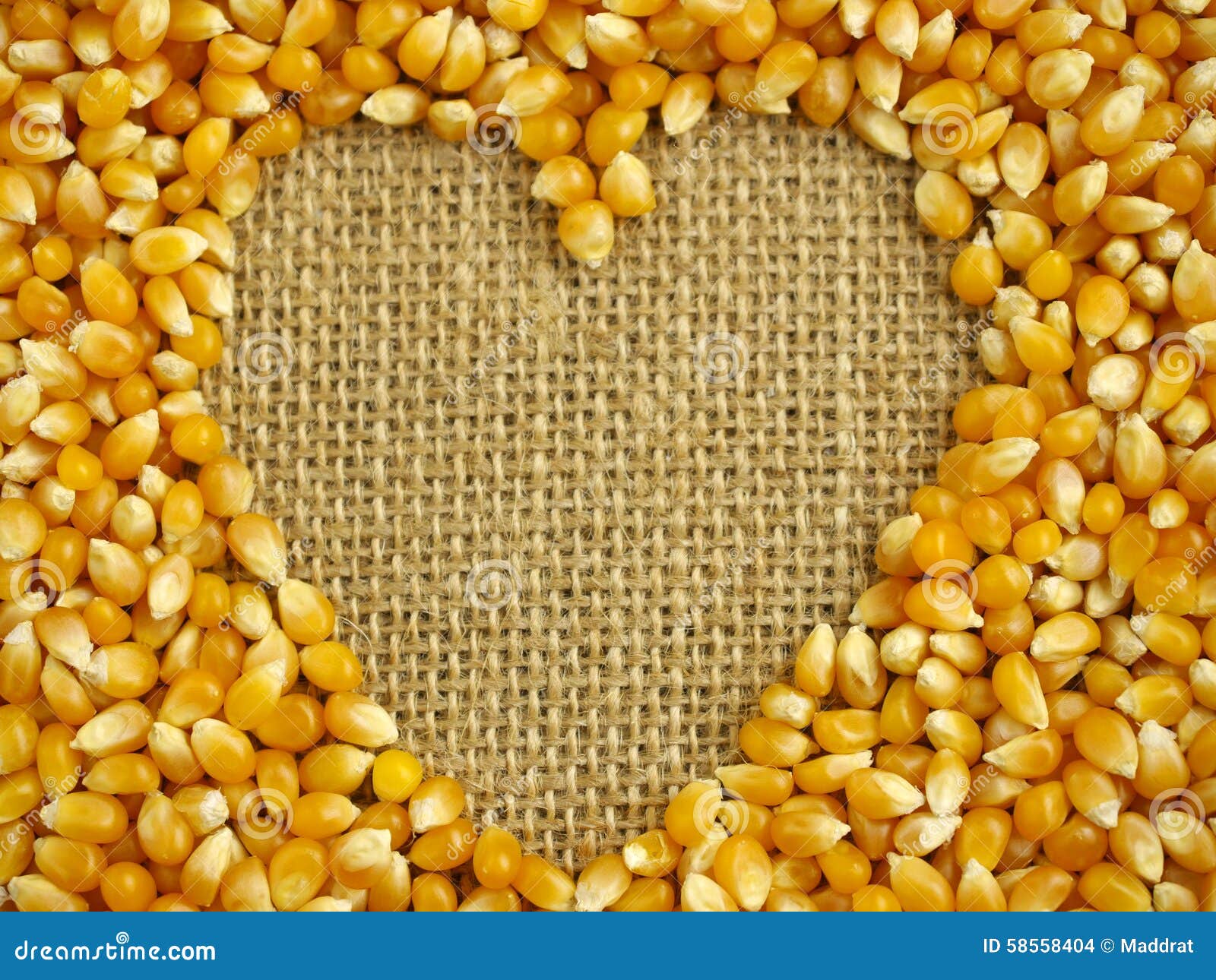 Maize grains background stock photo. Image of concept - 58558404