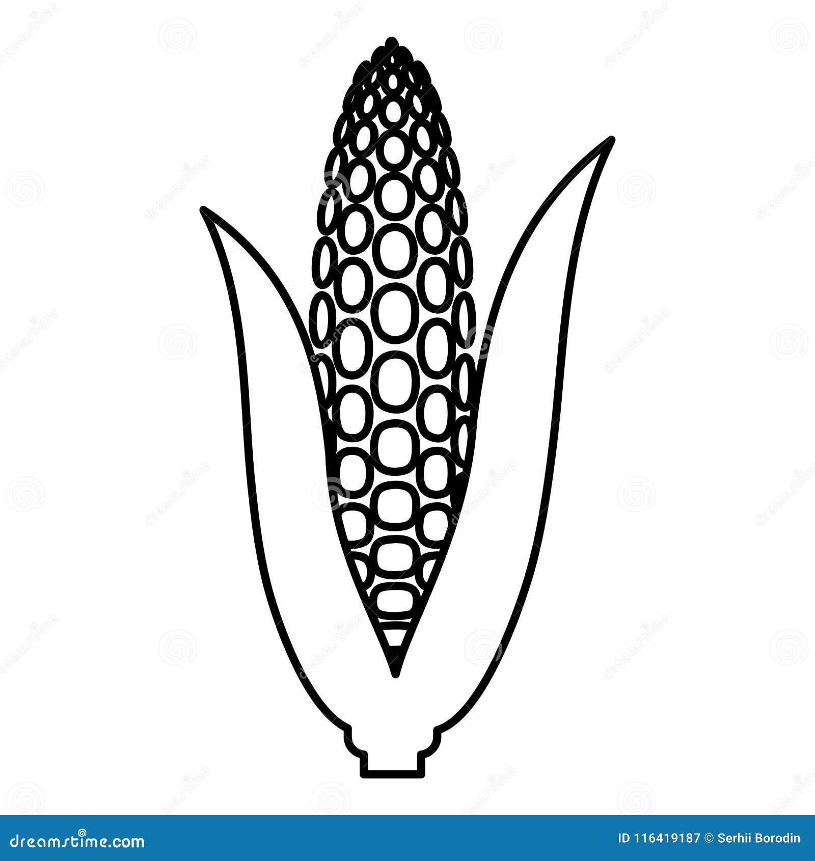 Maize Icon Black Color Illustration Flat Style Simple Image Stock ...