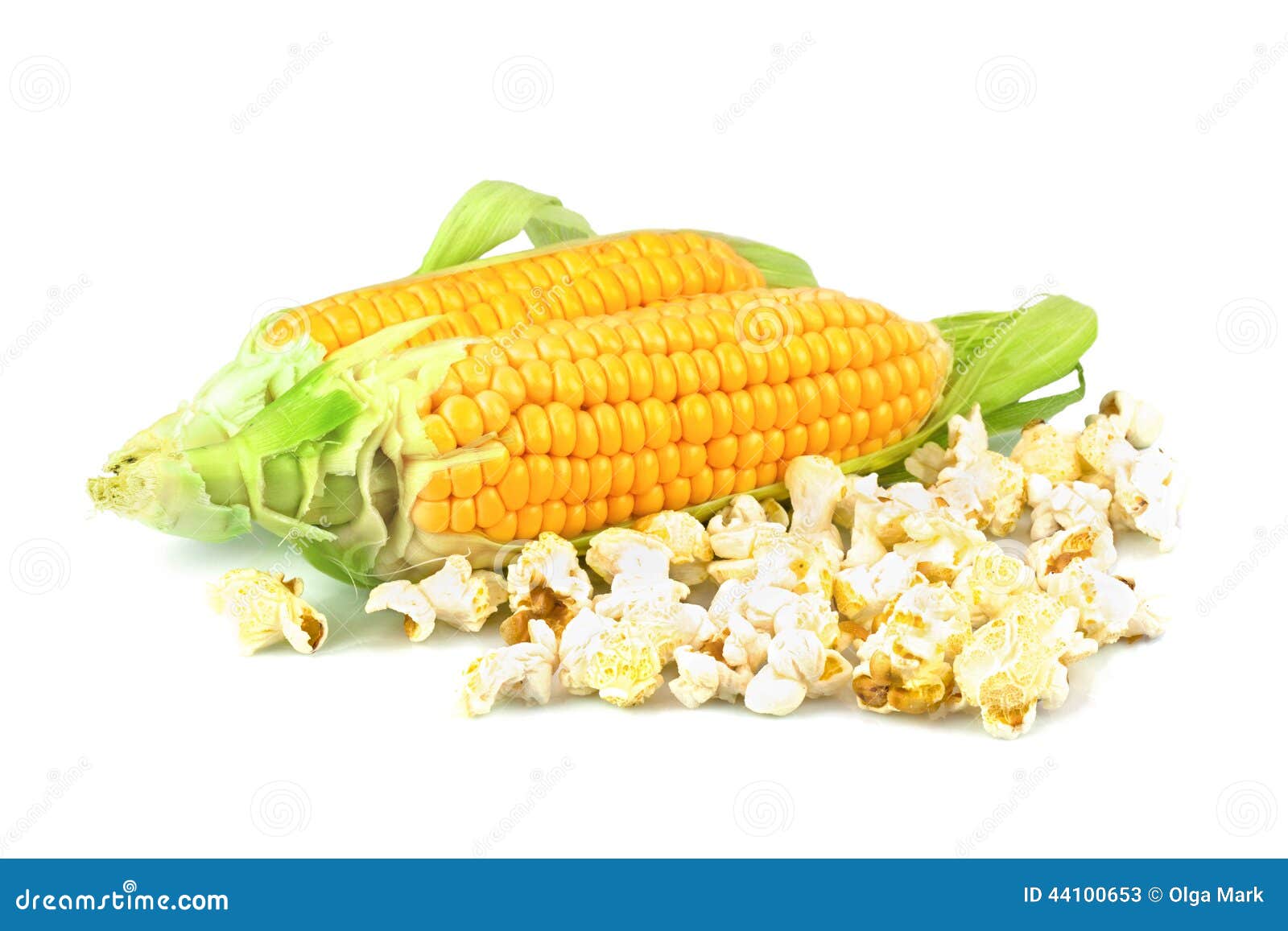 Maize Cob Popcorn Kernels Yellow Organic Fresh Sweetcorn Seeds Zea Mays ...