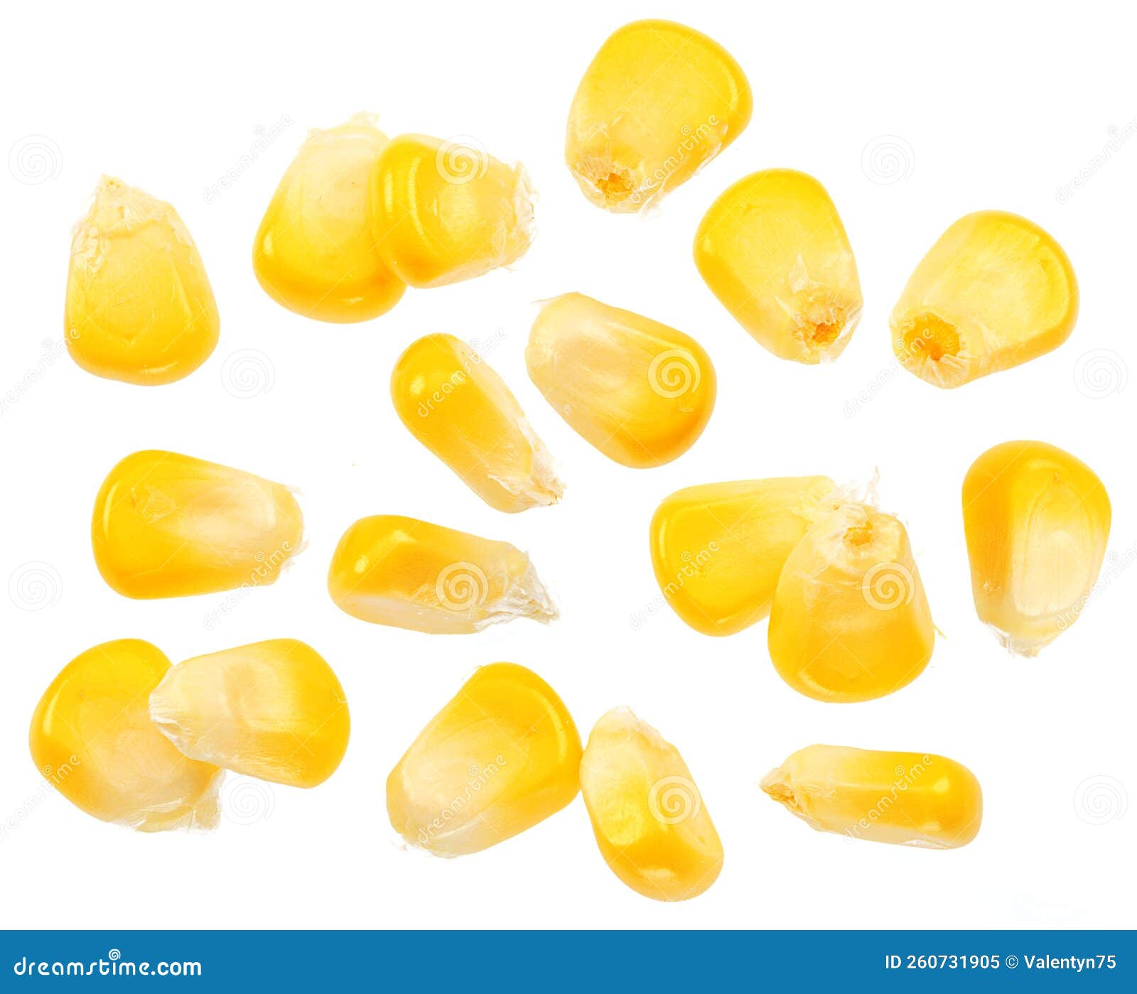 Maize Seeds or Corn Seeds Flying on White Background Stock Image ...
