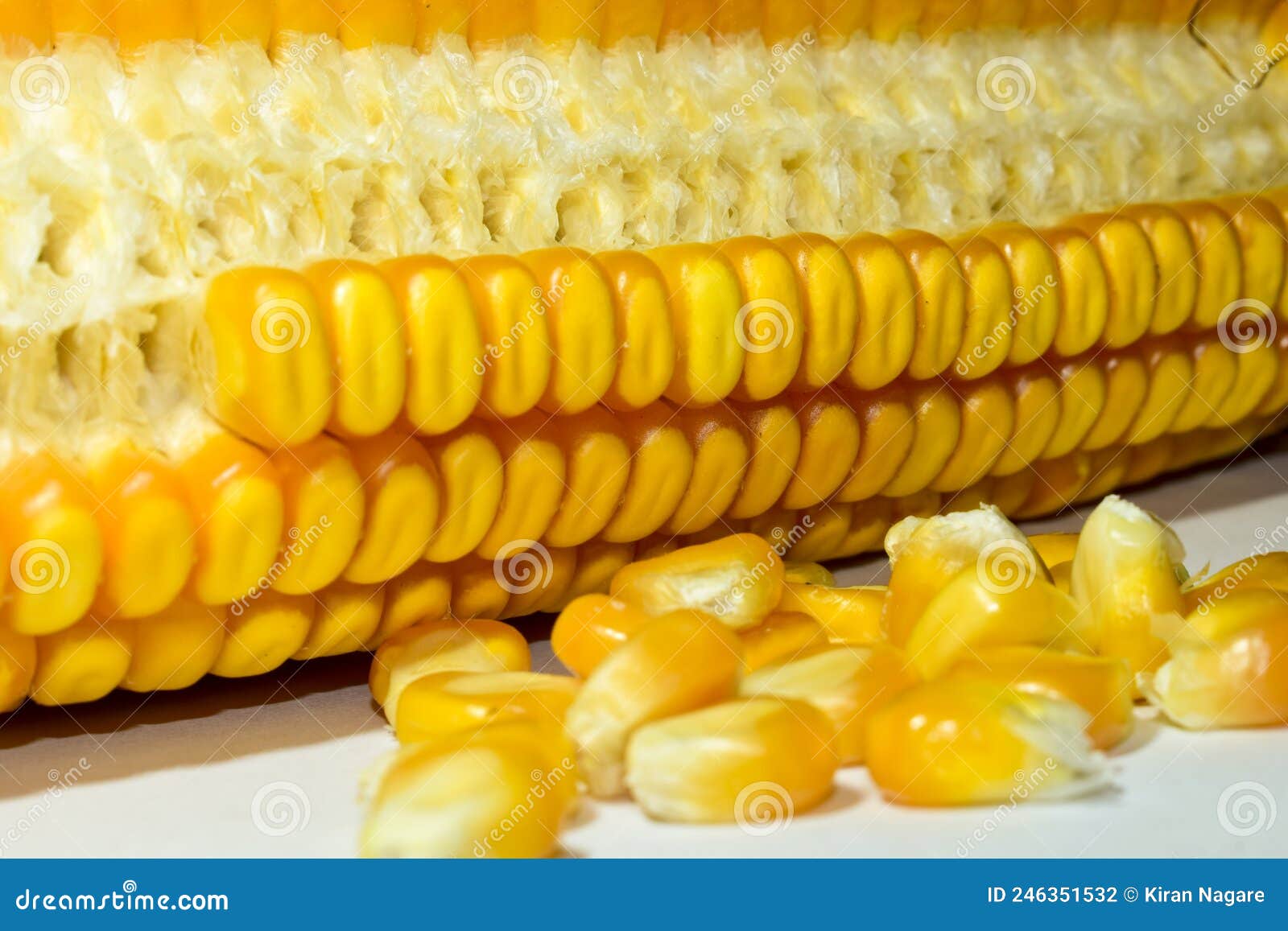 Maize and maize seeds stock photo. Image of golden, color - 246351532