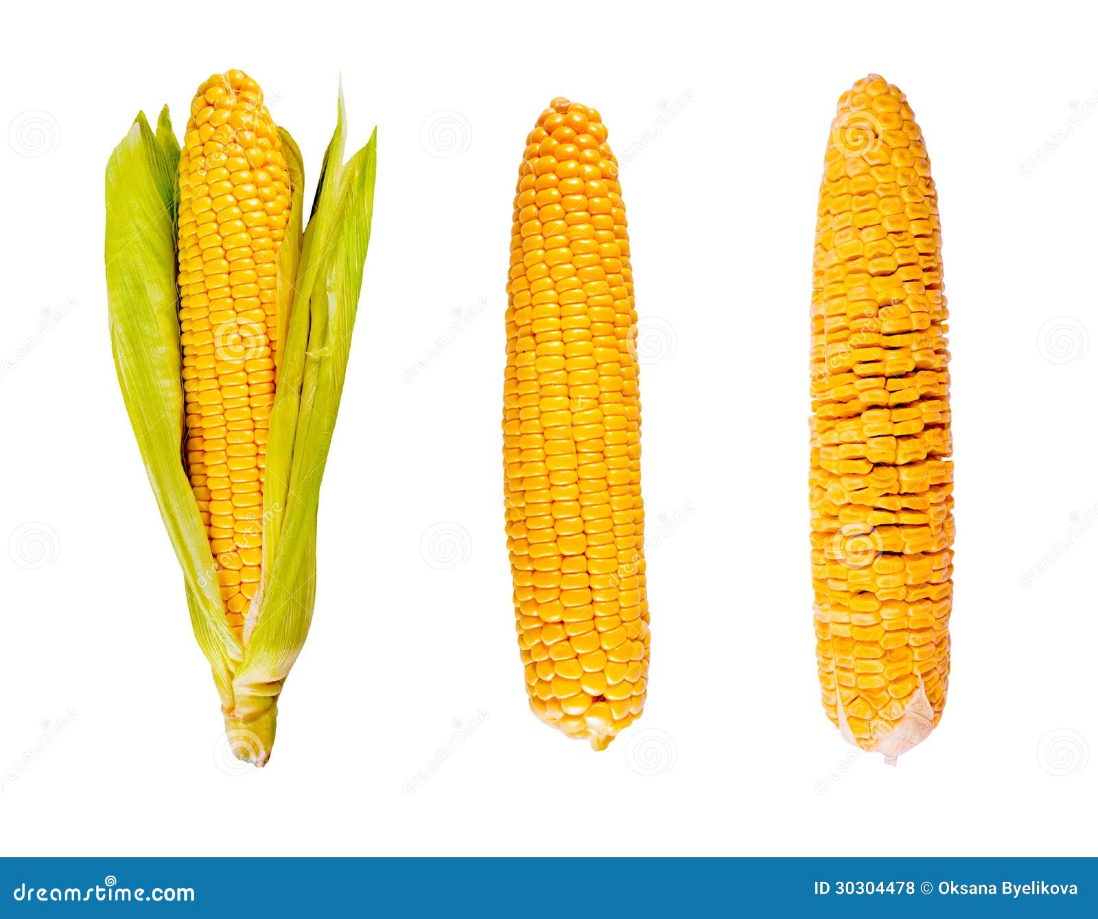 Maize in Three Growth Stages Stock Photo - Image of maize, maze: 30304478
