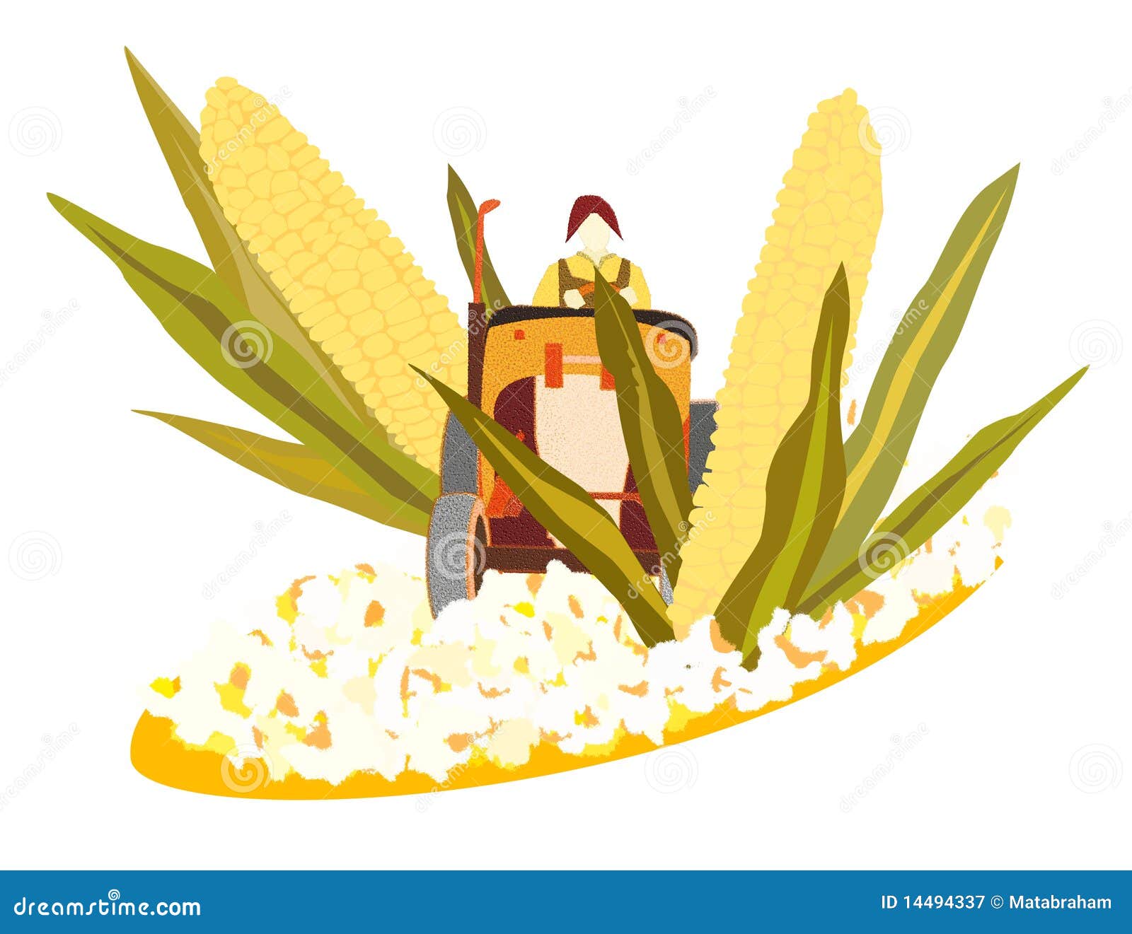 Maize Cartoon Vector | CartoonDealer.com #5882193