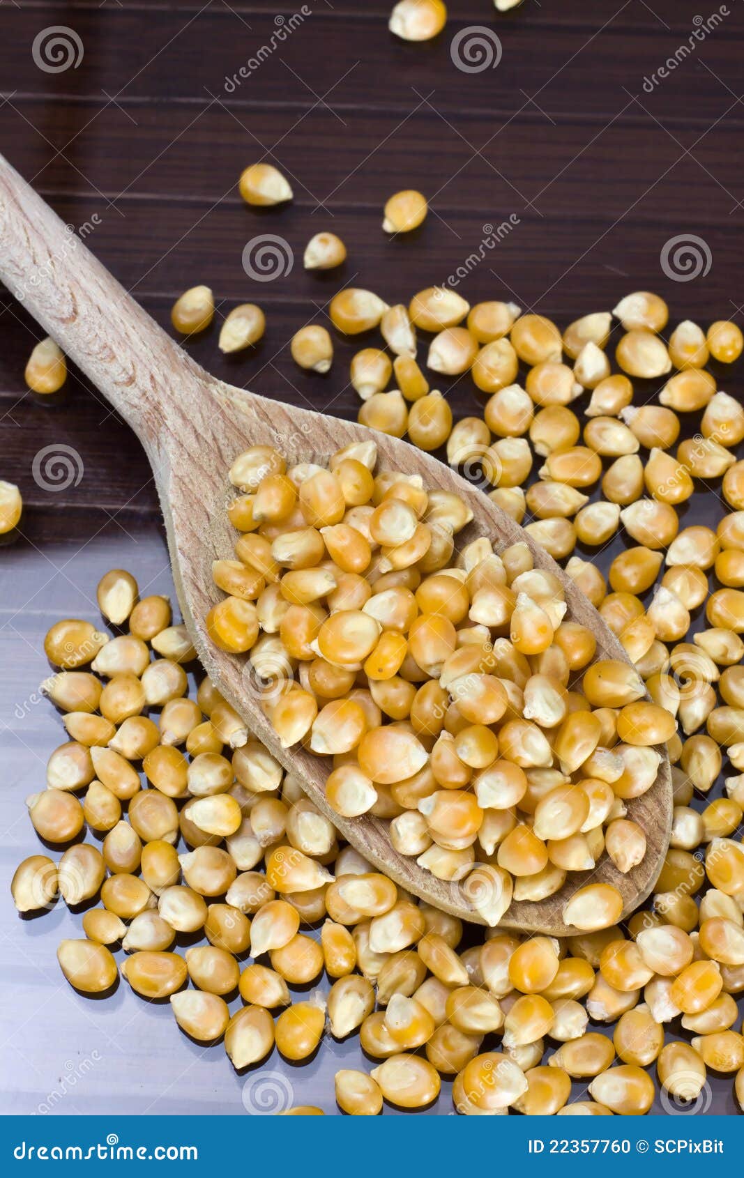 Maize - Zea mays stock photo. Image of grinding, mill - 22357760