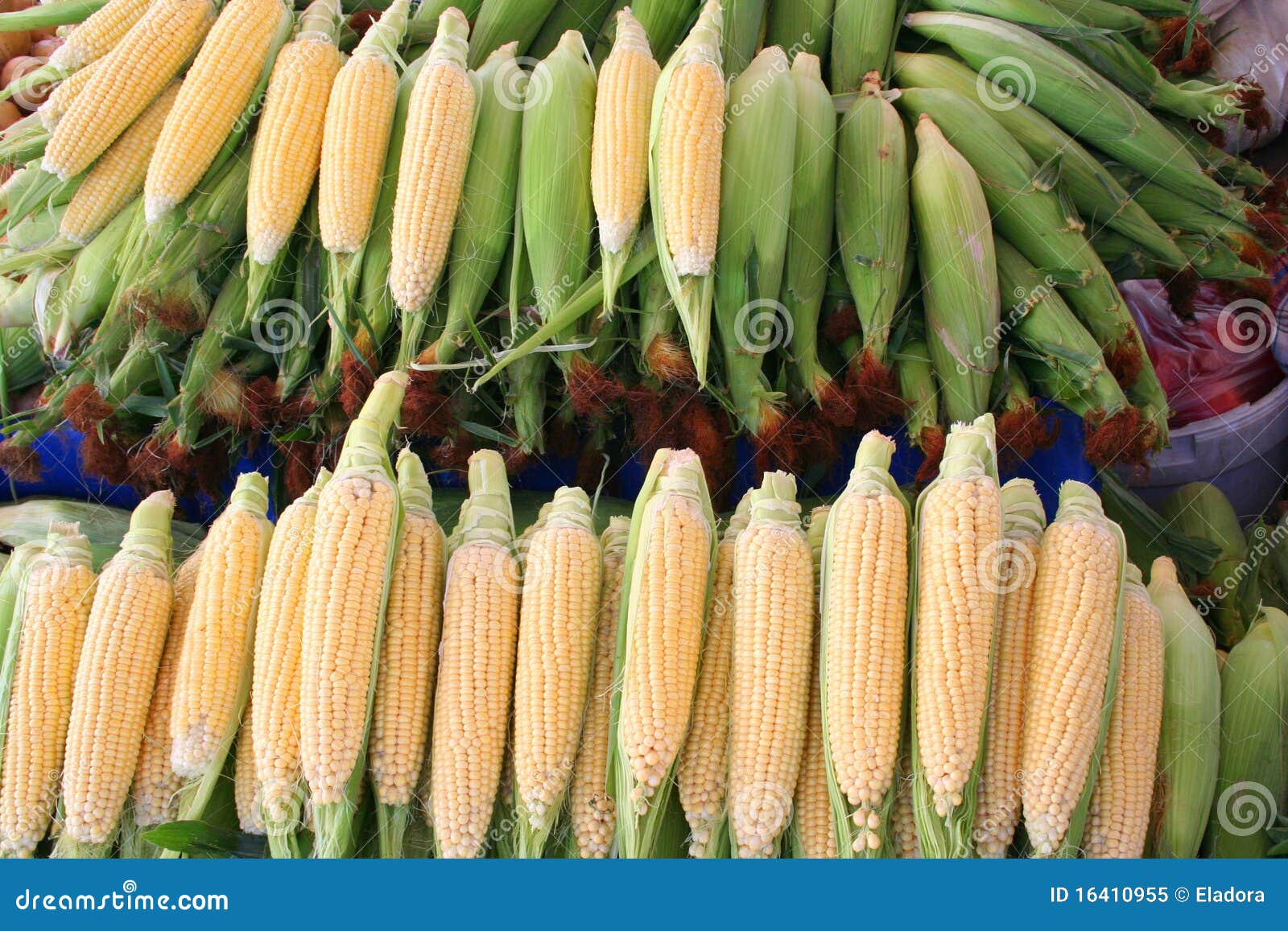 Maizes at bazaar stock image. Image of diet, nutrition - 16410955