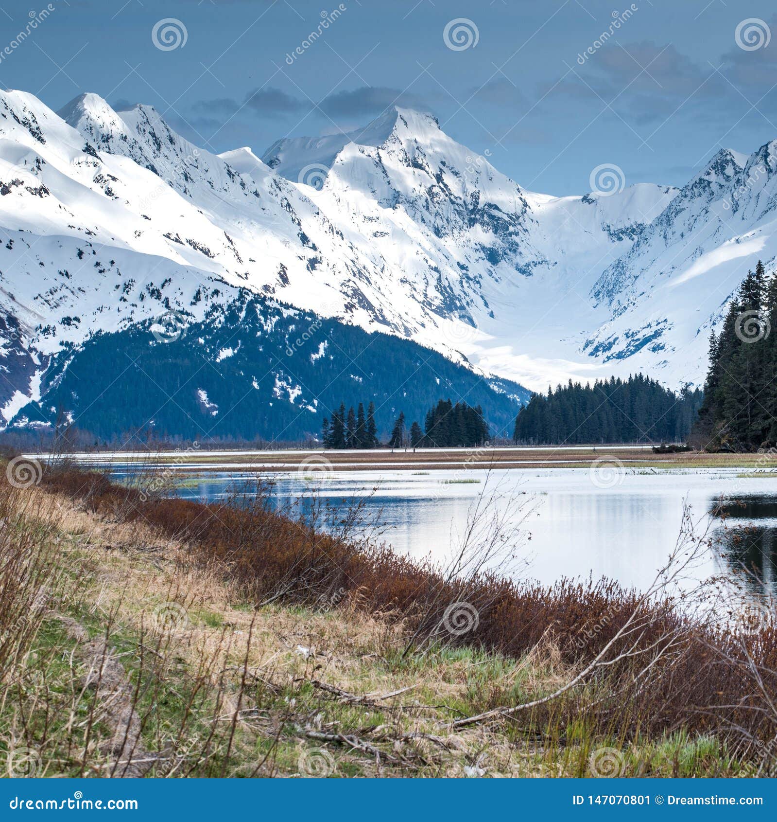 Majestic Alaska Landscape in the Springtime Stock Image - Image of ...
