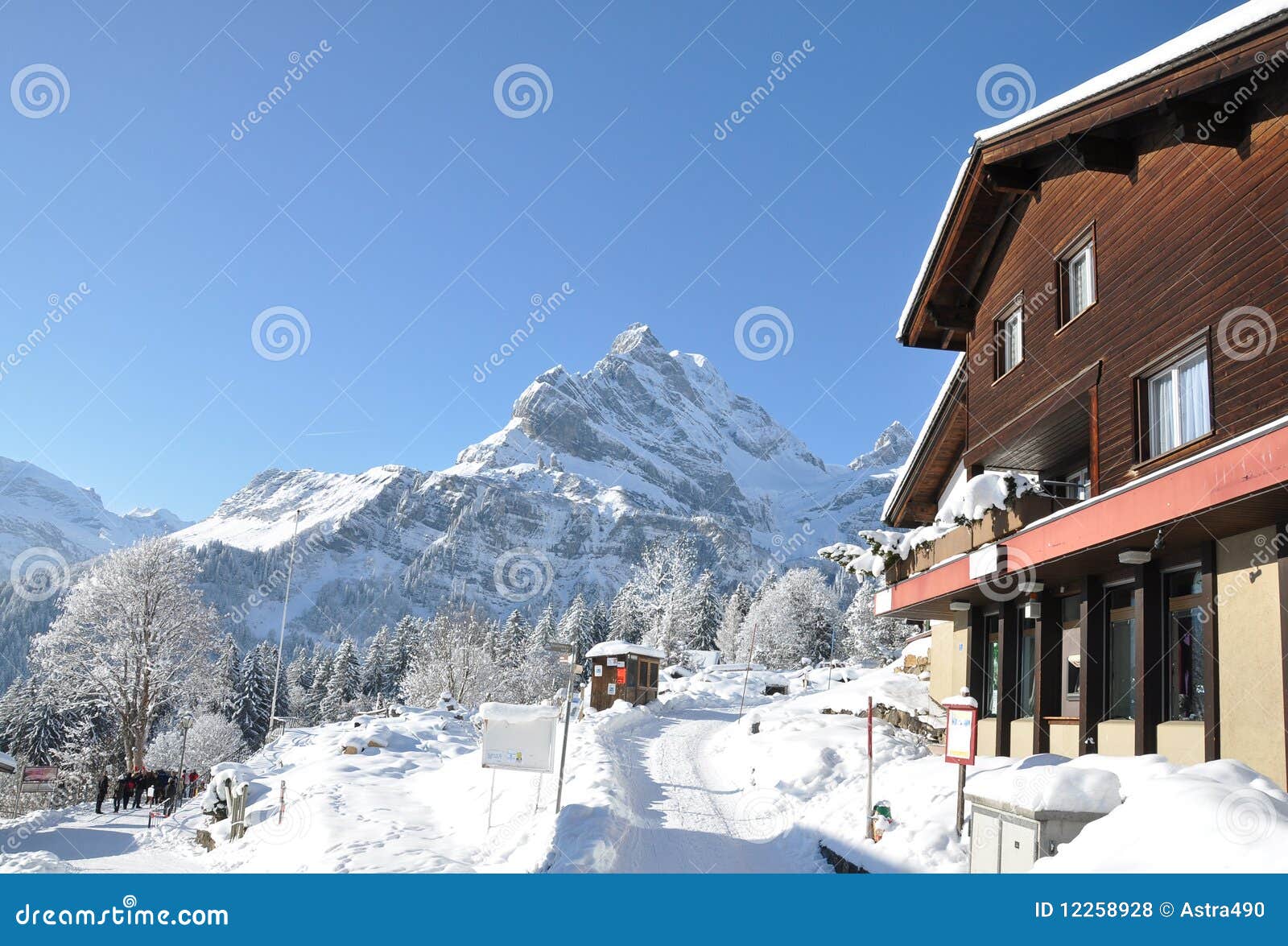 Majestic Alpine view stock photo. Image of forest, holiday - 12258928