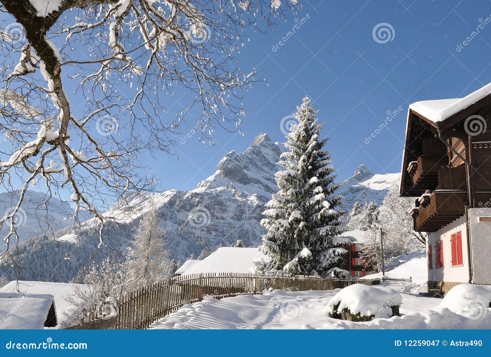 Majestic Alpine view stock image. Image of holiday, nature - 12259047