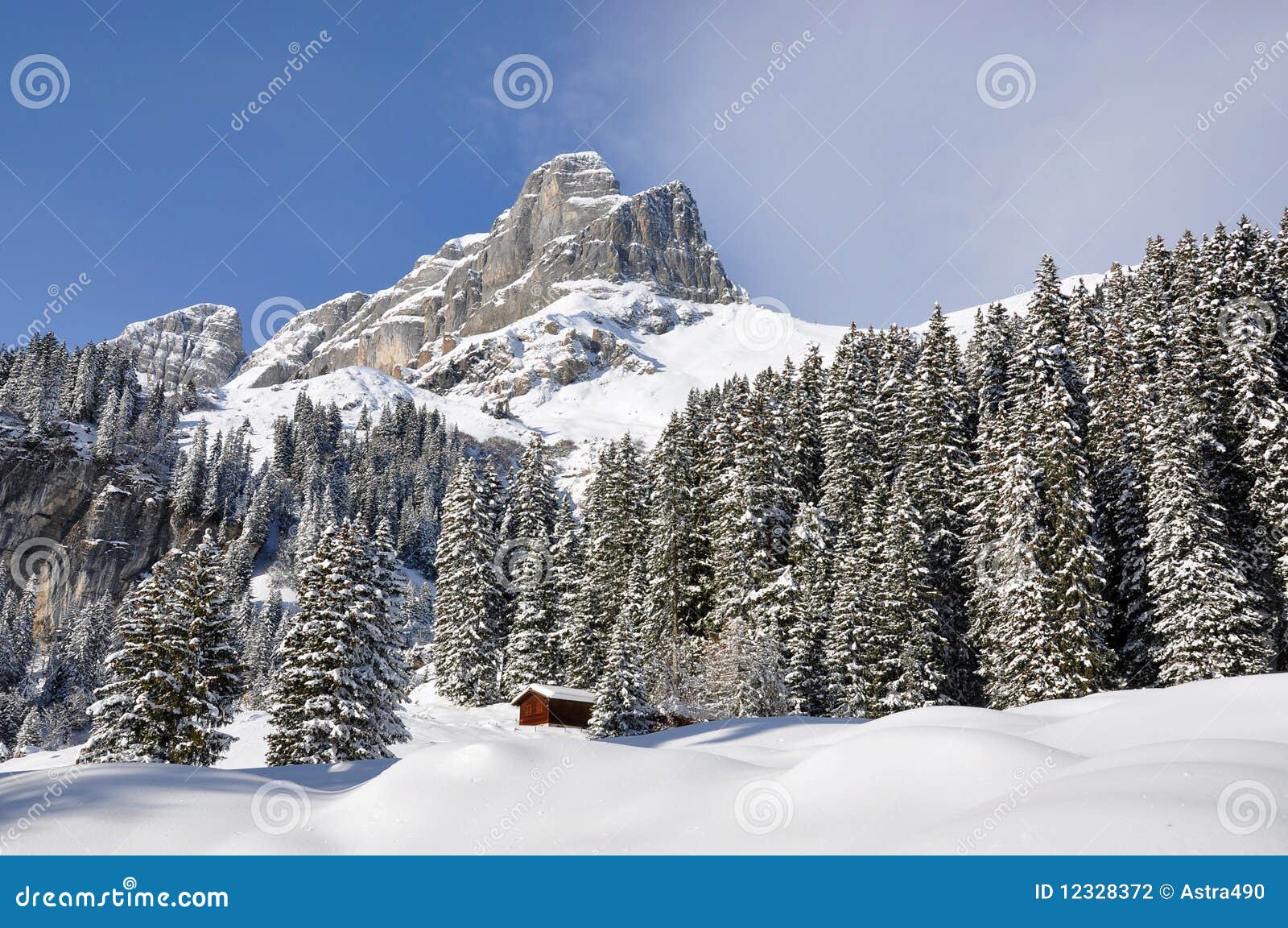 Majestic Alpine view stock photo. Image of coniferous - 12328372