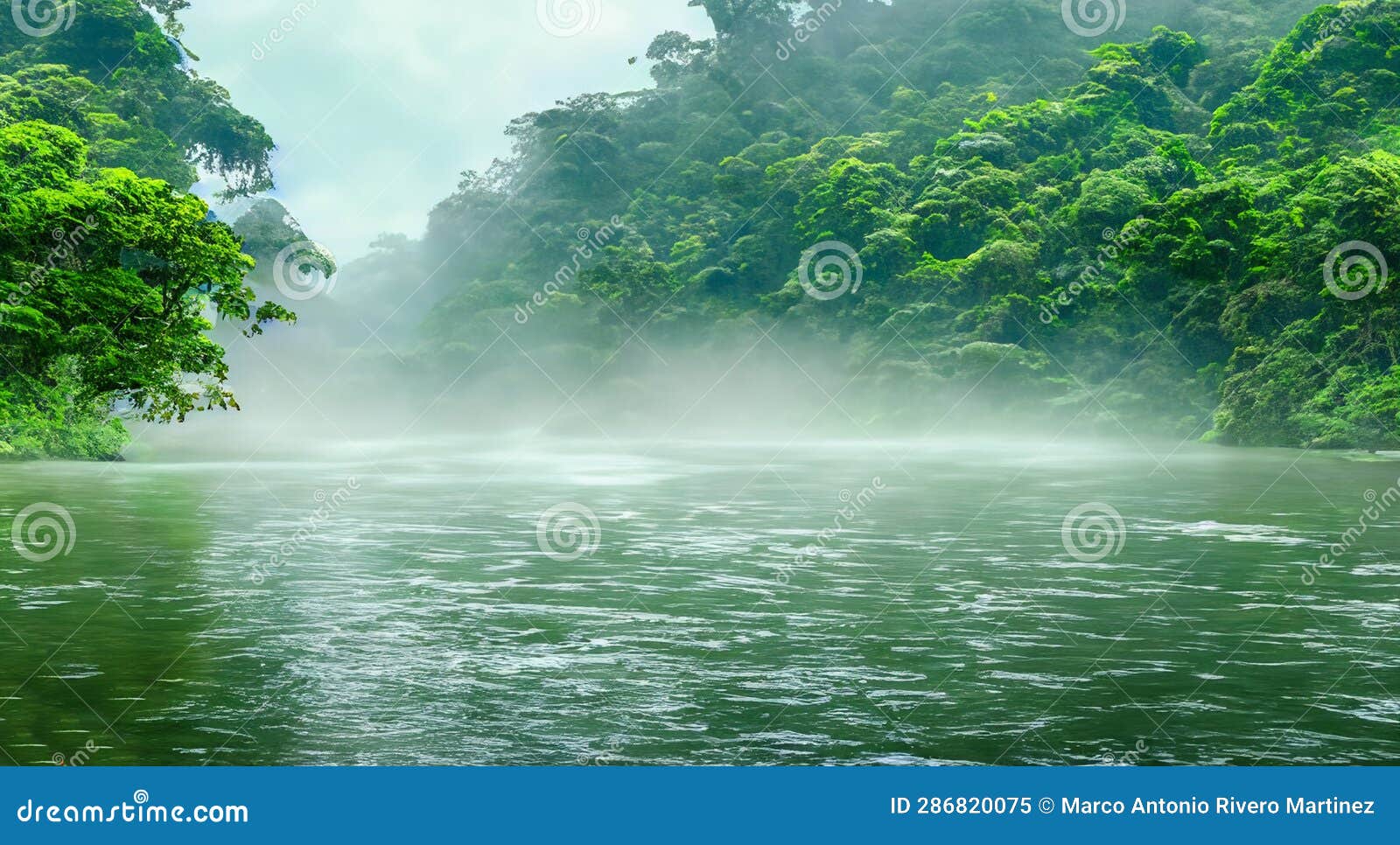 Majestic Amazon River with Mist in a Beautiful Sunrise Stock ...