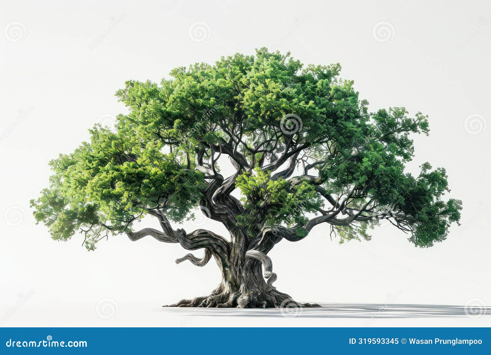 A Majestic, Ancient Tree with Gnarled Branches and Lush Green Foliage ...