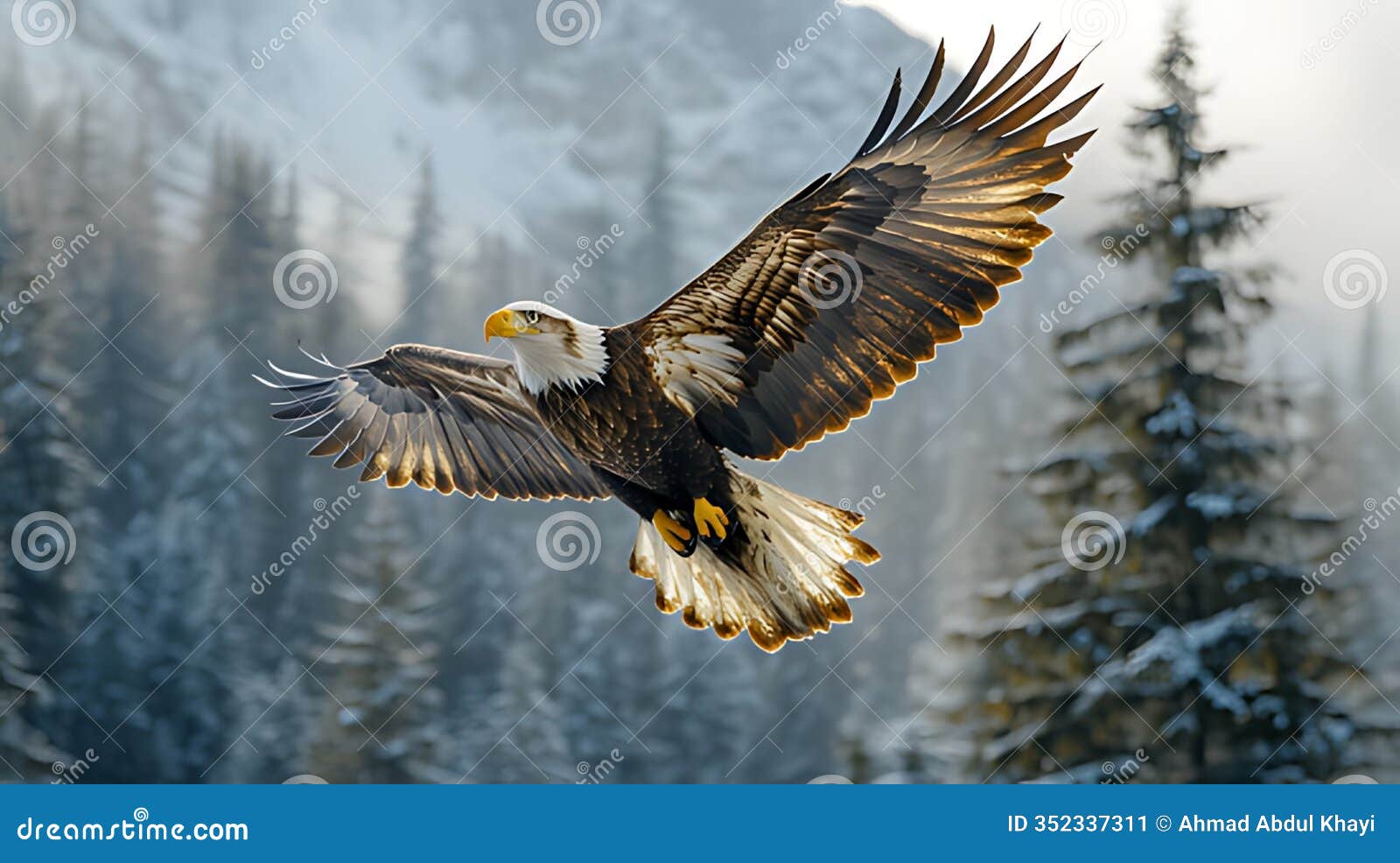Majestic Bald Eagle in Flight Over Snow-covered Mountains and Evergreen ...