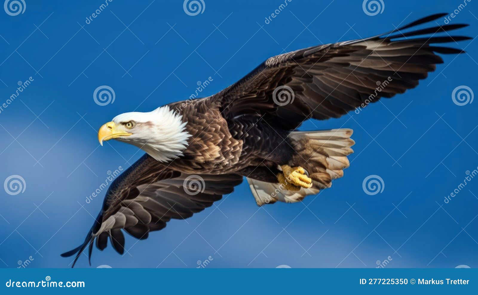 A Majestic Bald Eagle Soaring through a Clear Blue Sky with Wings ...