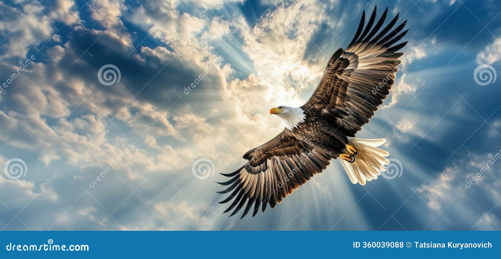Majestic Bald Eagle Soaring through Dramatic Sky with Sun Rays and ...