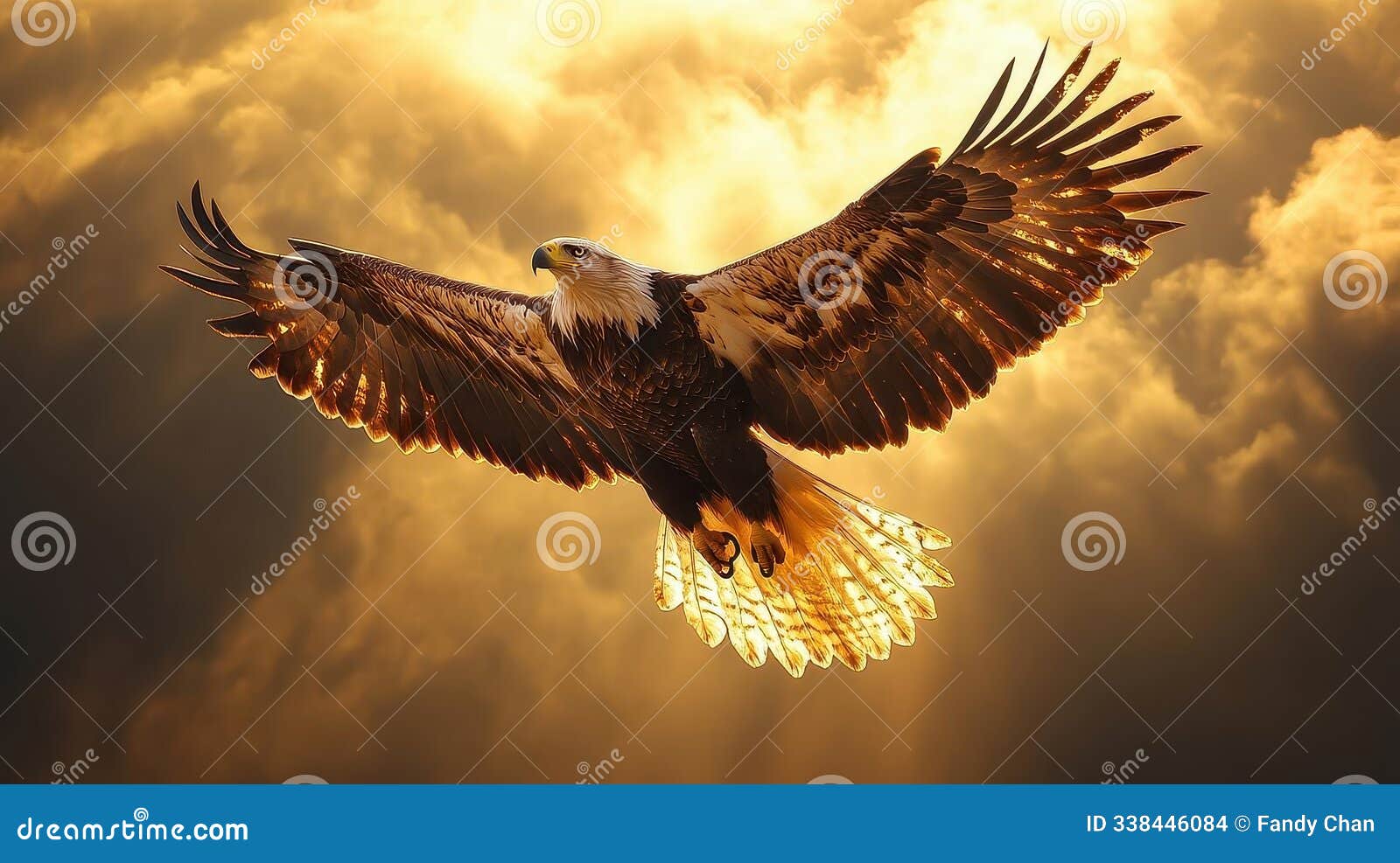 Majestic Bald Eagle Soaring through Golden Clouds Stock Illustration ...