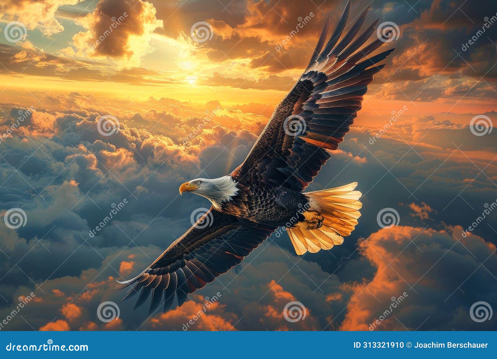 Majestic Bald Eagle Soaring in Photorealistic Spotlight Style Against ...
