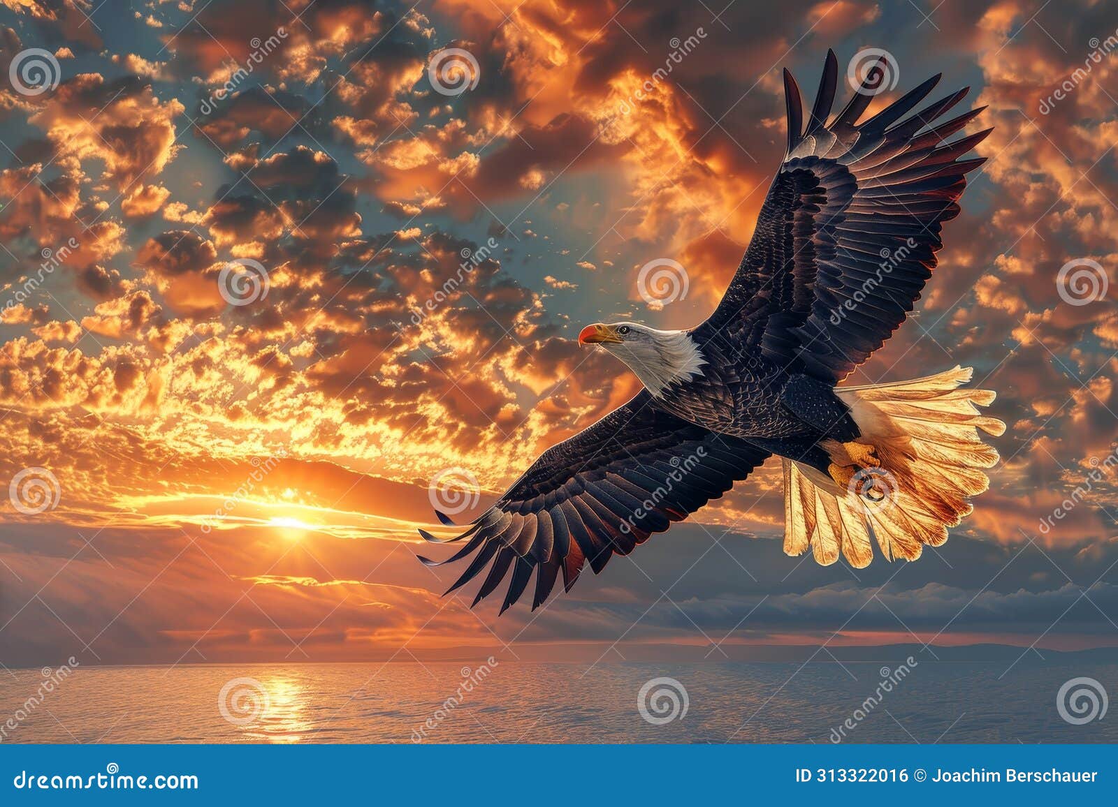Majestic Bald Eagle Soaring in Photorealistic Style Against Dramatic ...