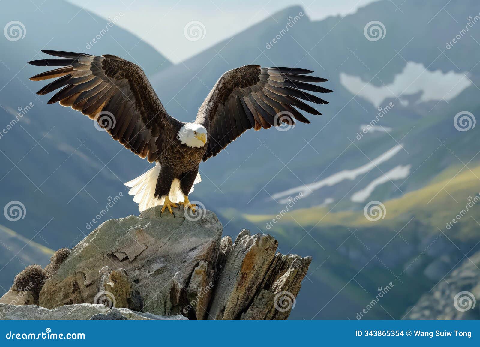 Majestic Bald Eagle Spreading Wings on Mountain Peak Stock Photo ...