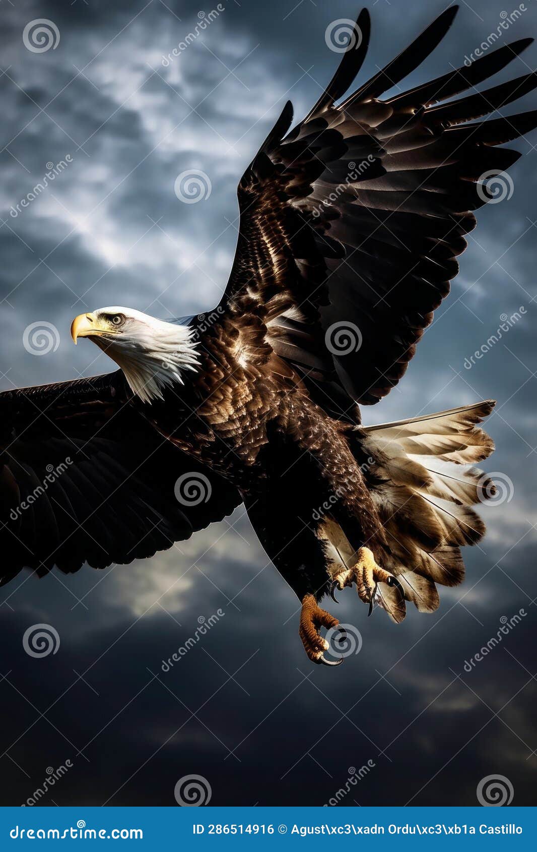 Majestic Bald Eagles Fly High in the Sky. Stock Illustration ...