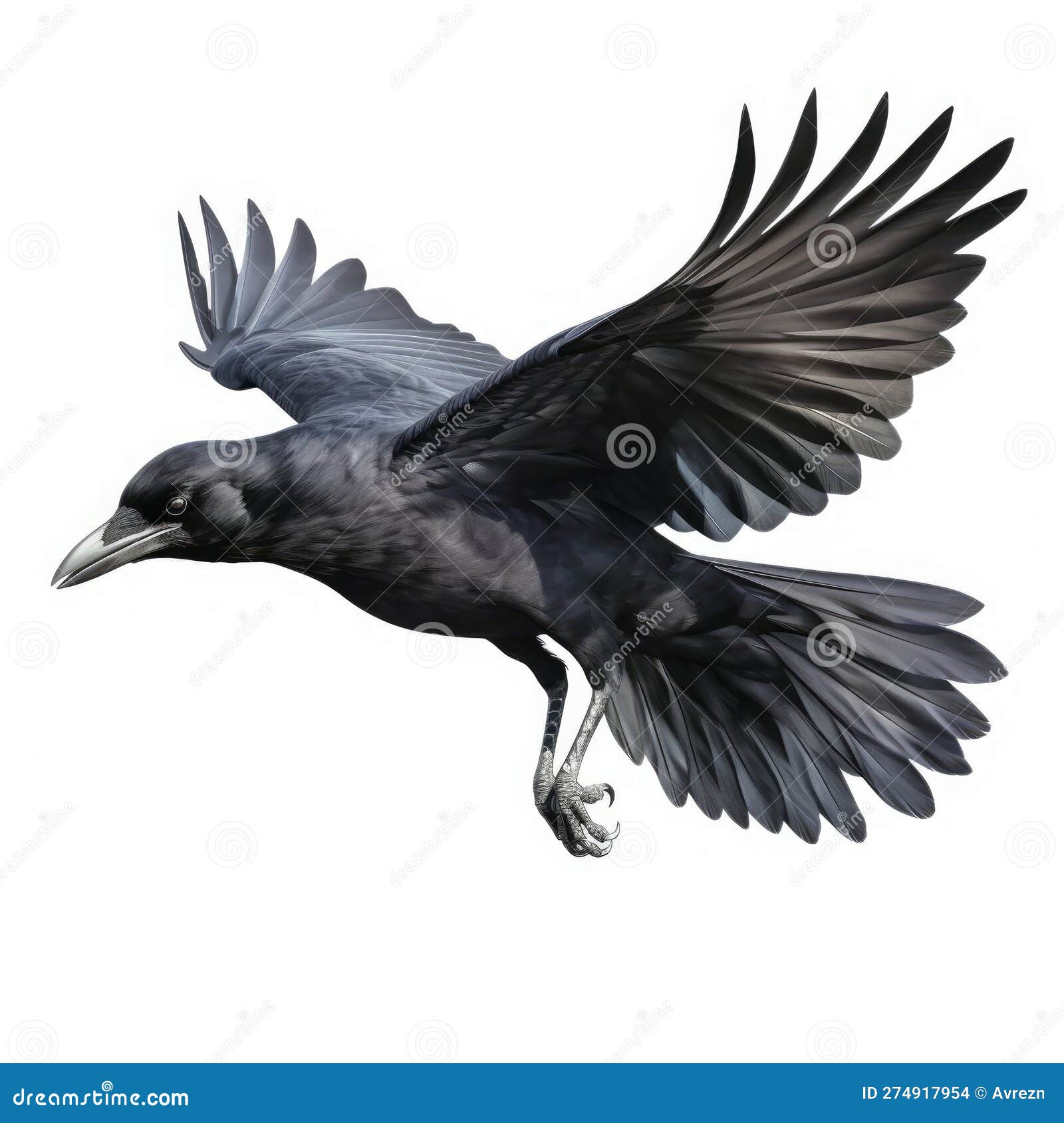 Majestic Crow in Flight on White Background, Generative AI Stock ...