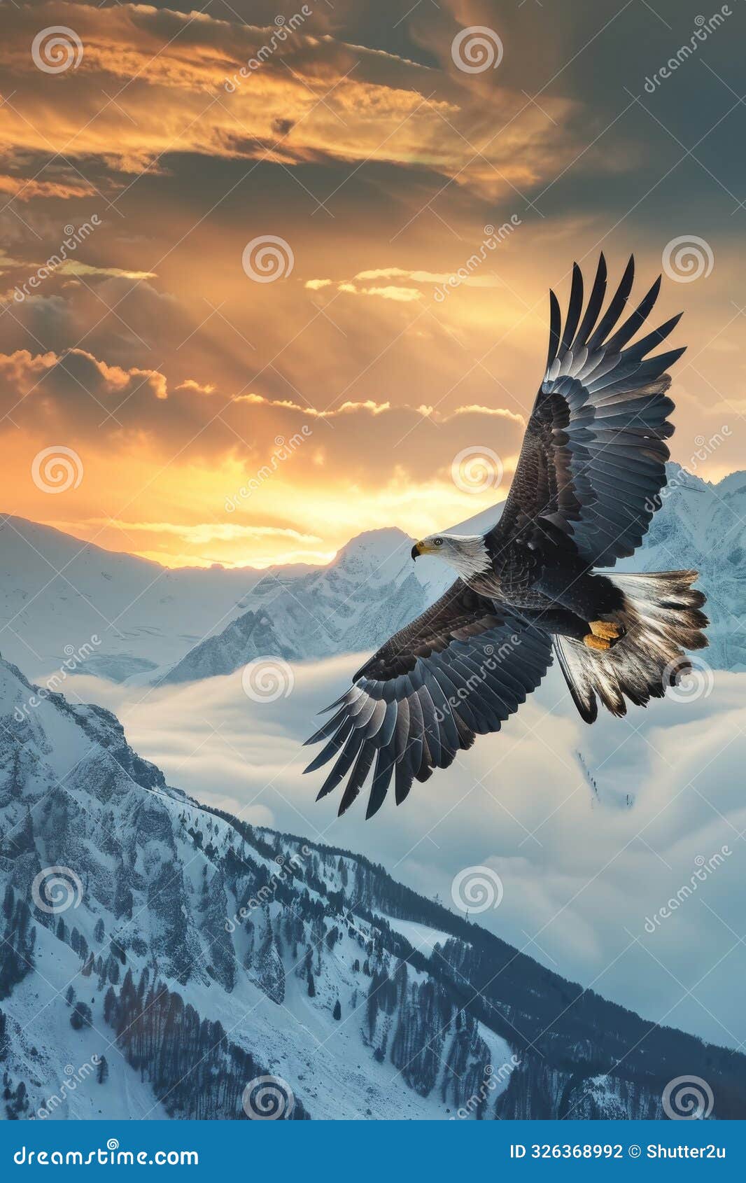 A Majestic Eagle Soaring Above a Snowy Mountain Peak with the Sun ...