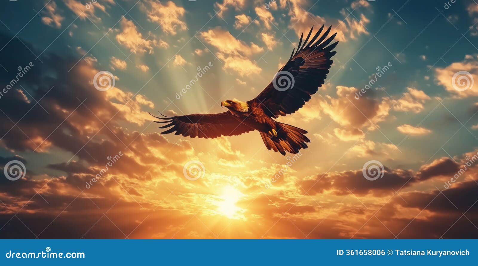 Majestic Eagle Soaring Against Vibrant Sunset Sky with Dramatic Clouds Stock Photo - Image of ...
