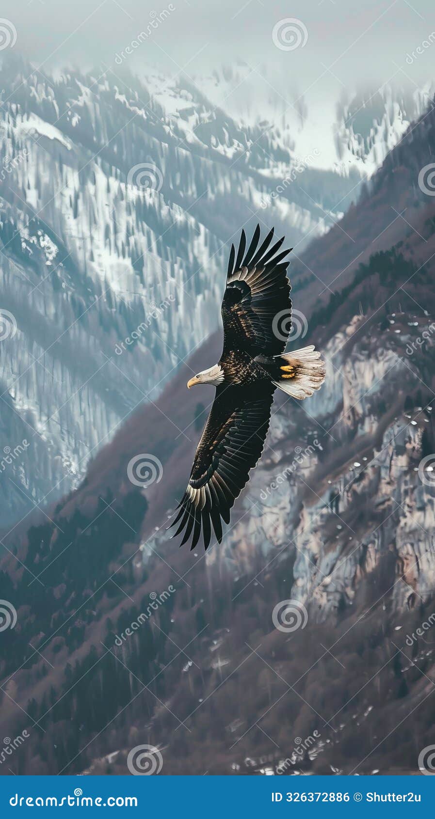A Majestic Eagle Soaring High Above the Mountains Stock Illustration ...