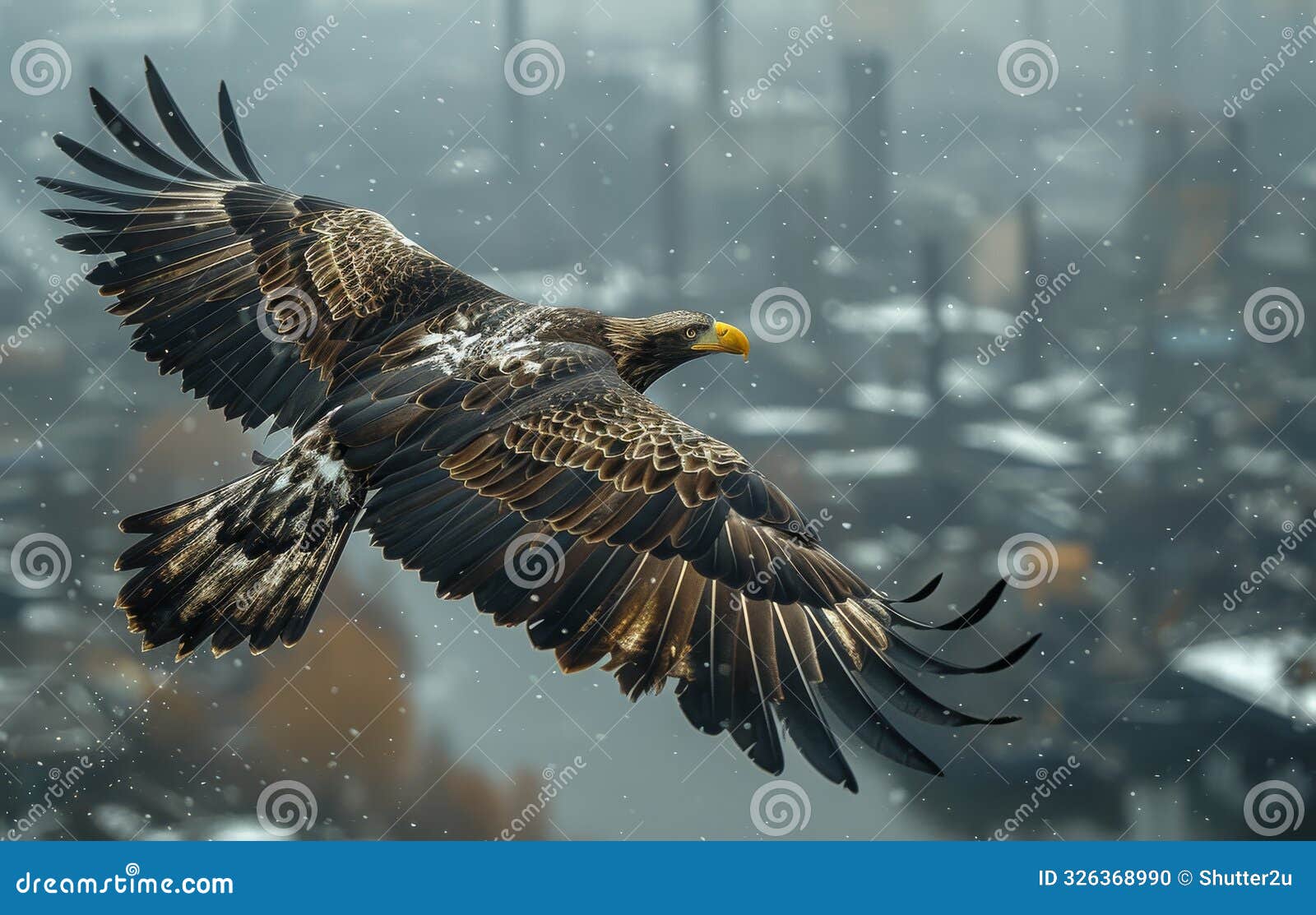 The Eagle Is Soaring Through The Sky With Its Wings Fully Extended. Ai Image. | CartoonDealer ...