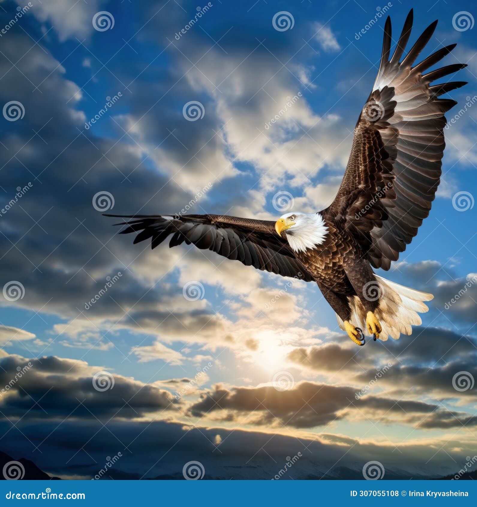 A Majestic Eagle Soaring through the Sky, with Its Powerful Wings ...