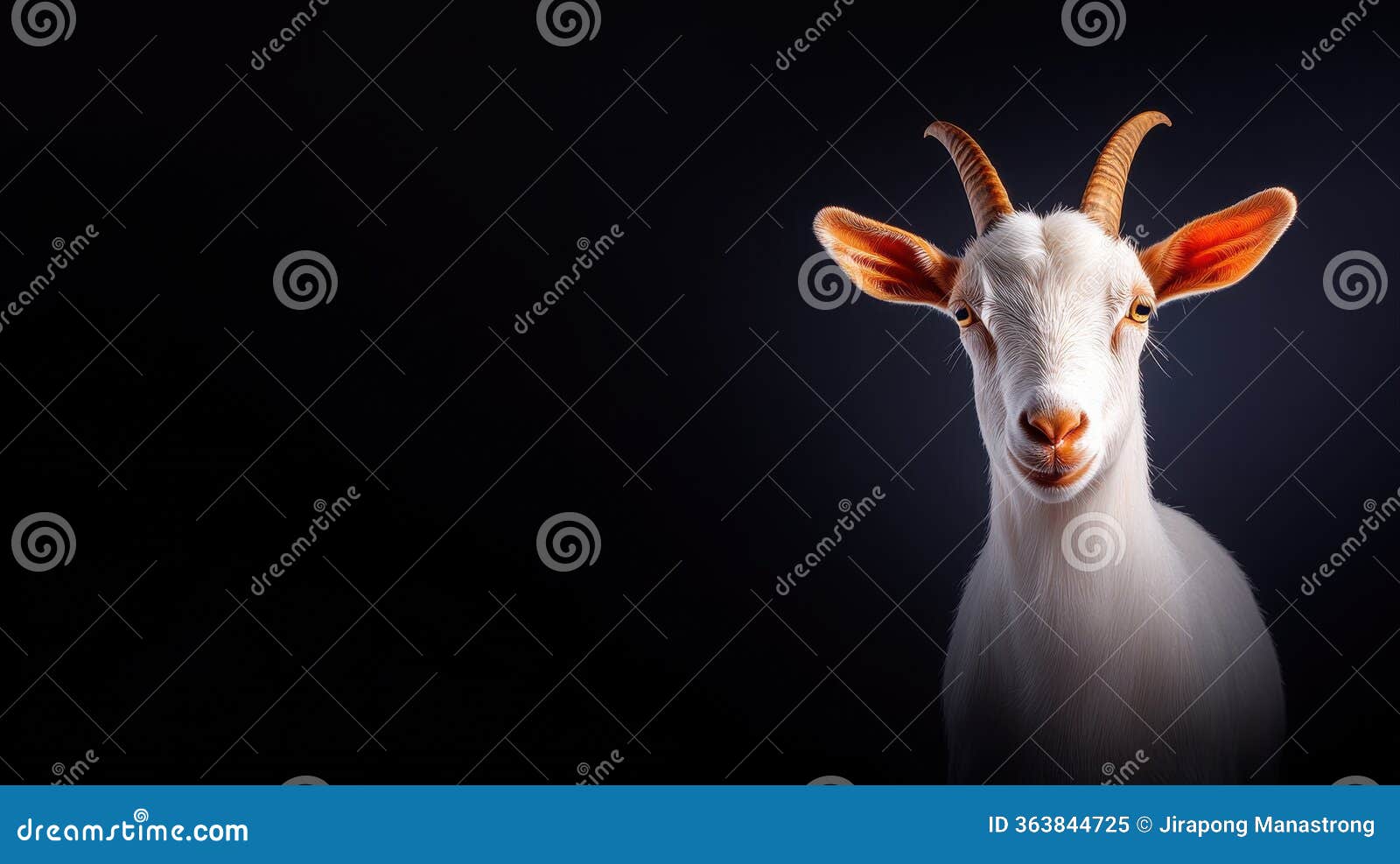 Goat Fur Texture Background. Royalty-Free Stock Photo | CartoonDealer ...