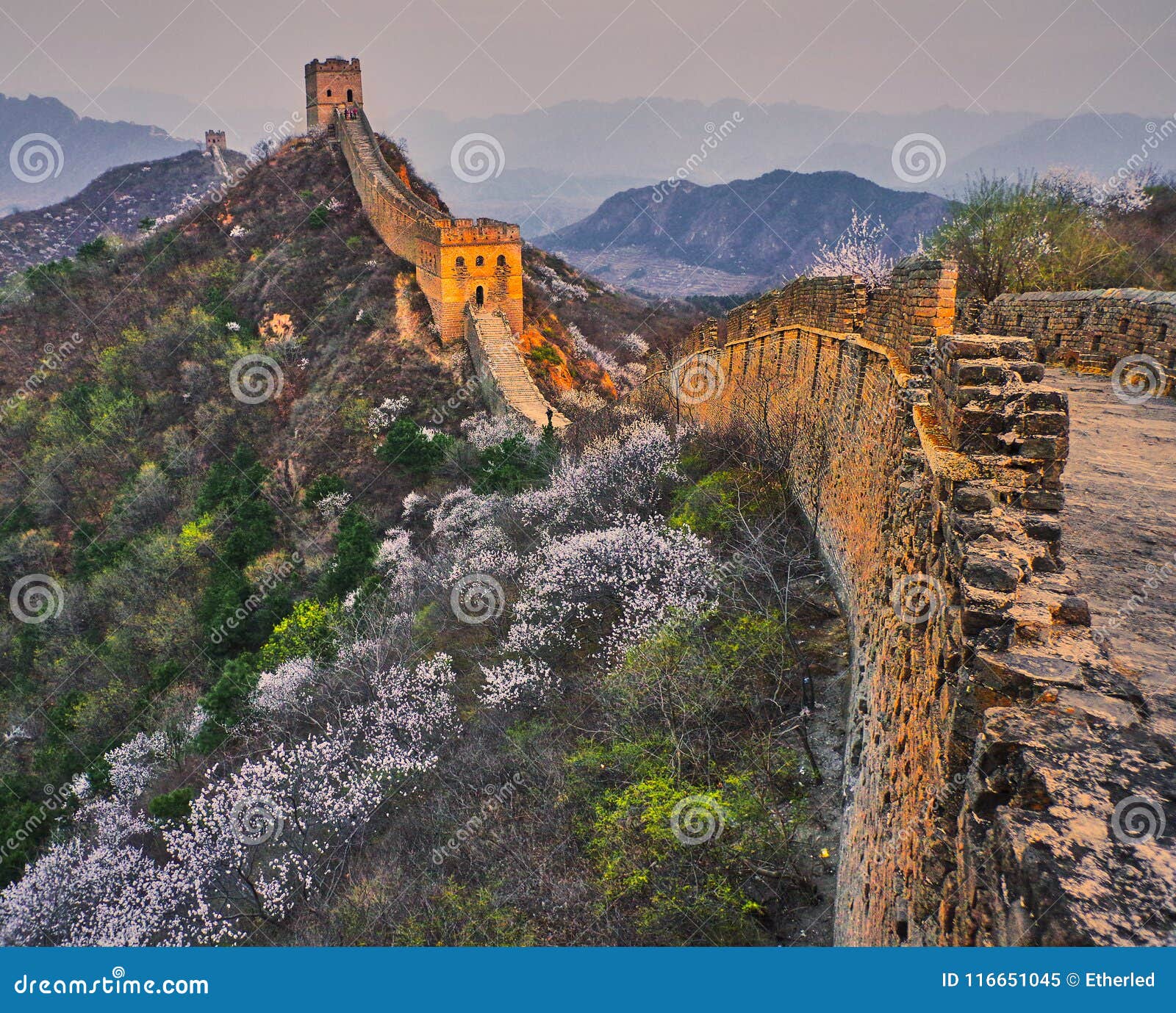 The Majestic Great Wall Sunset Stock Image - Image of chinese ...