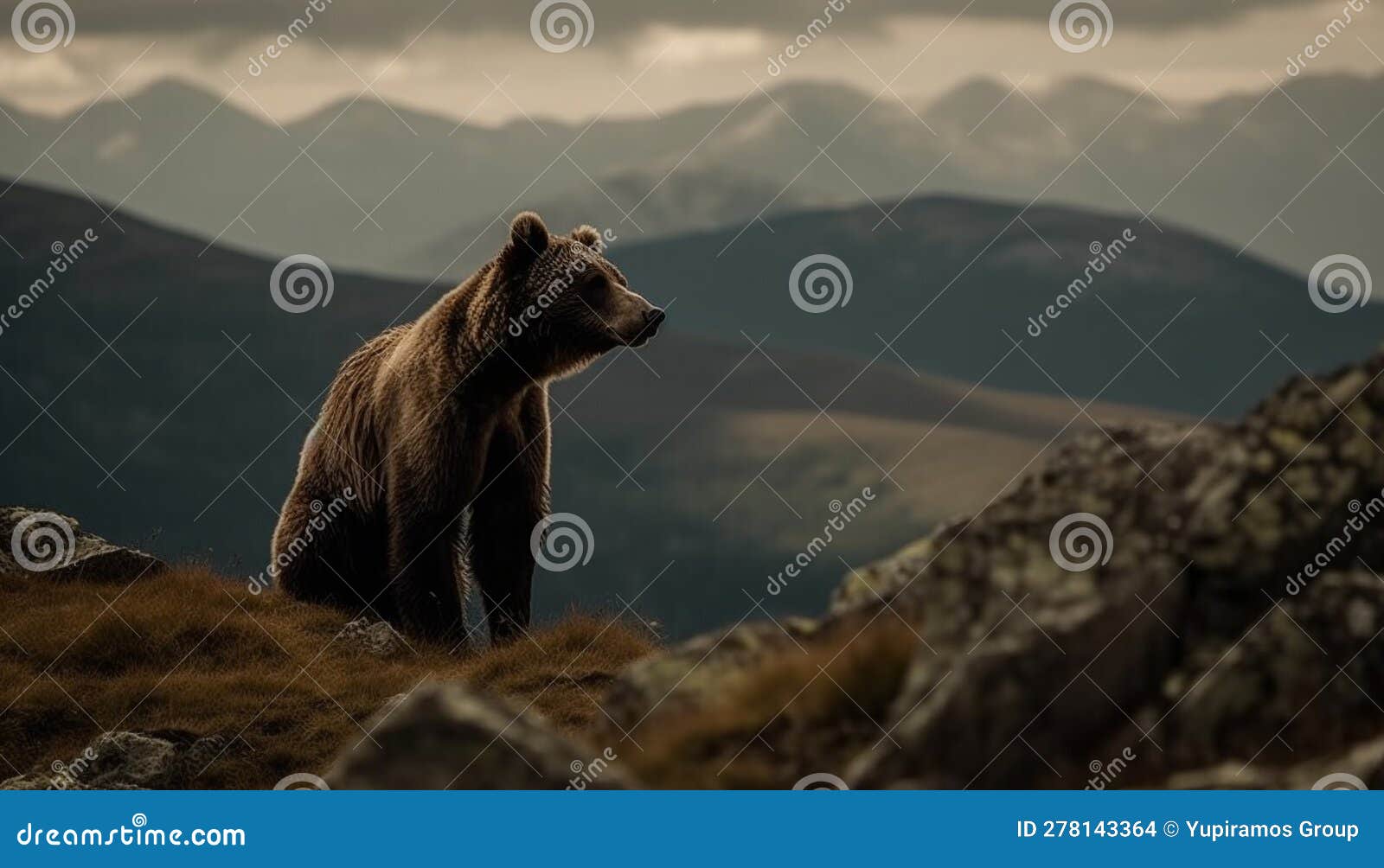 Majestic Grizzly Bear Standing in Rocky Mountains Generated by AI Stock ...