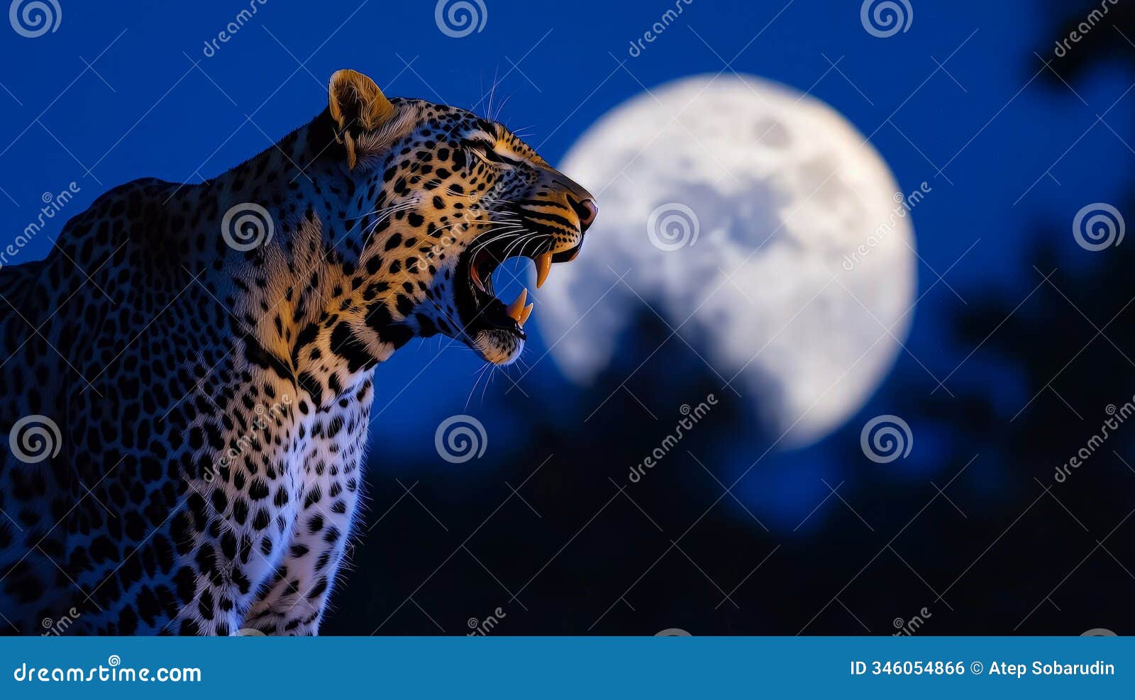 Majestic Leopard Roaring Under a Full Moon at Night Stock Photo - Image ...