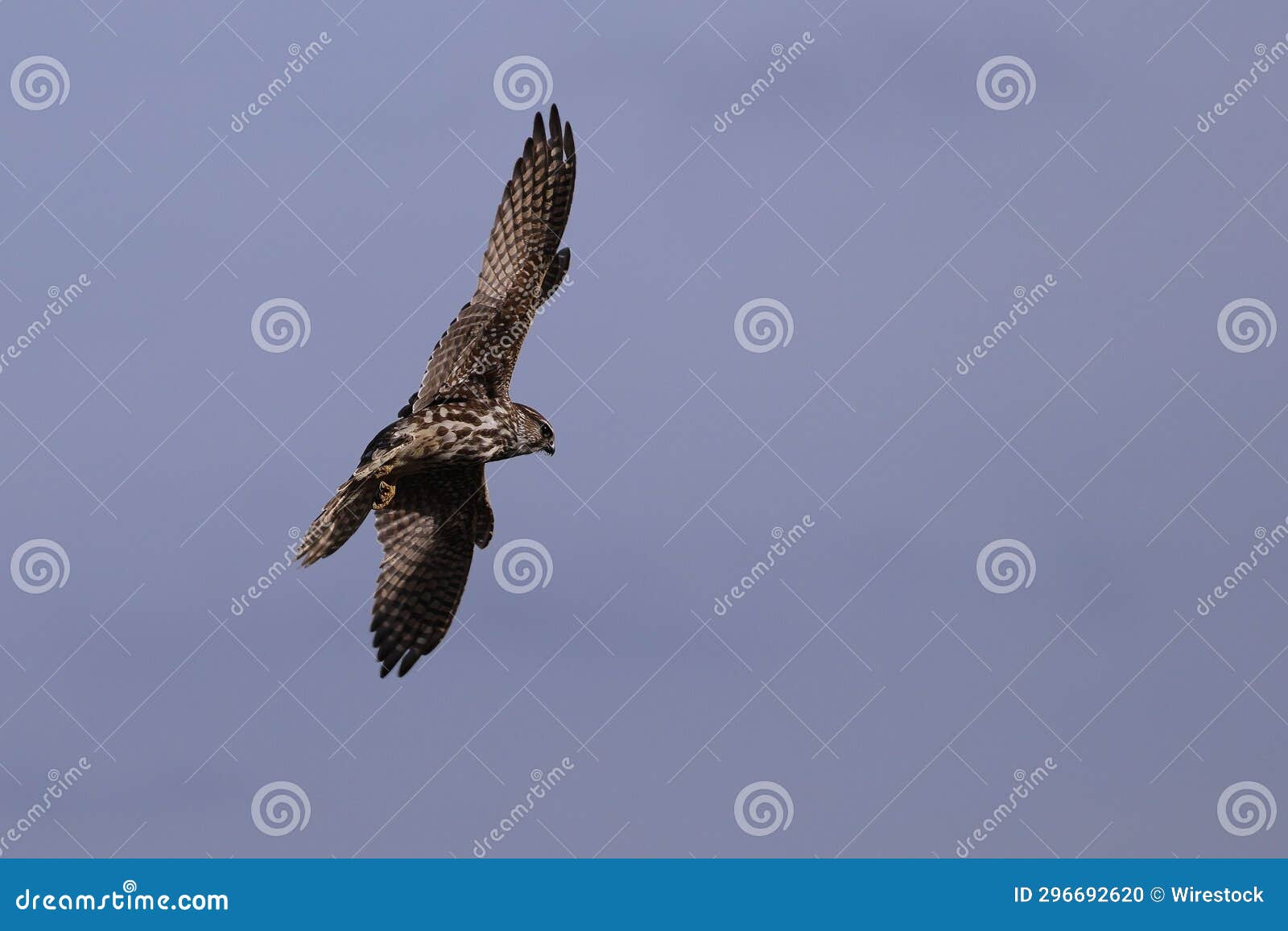 Merlin Banking Stock Photos - Free & Royalty-Free Stock Photos from ...