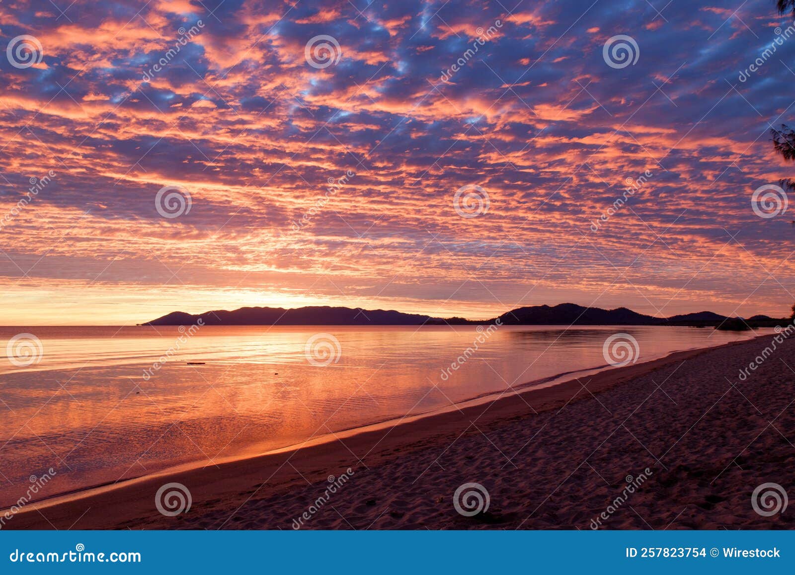 Majestic Pink Sunset Sky Over the Sea Stock Photo - Image of pink ...
