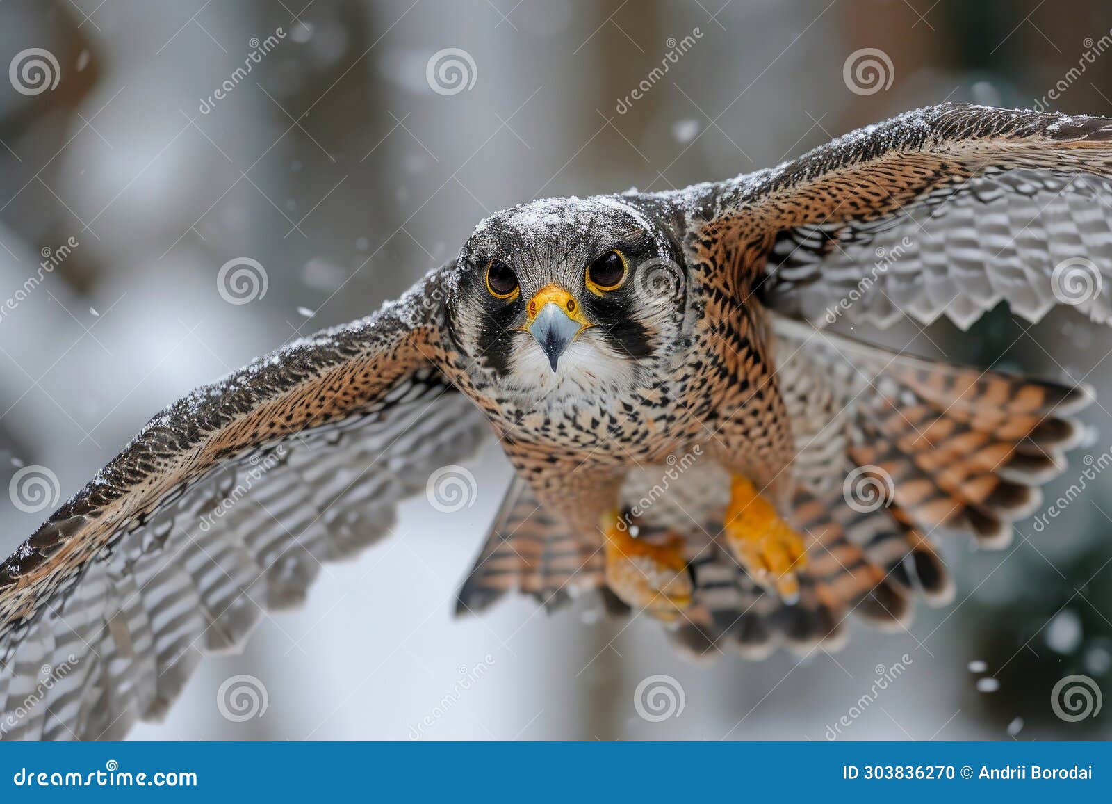 Majestic Snow Soaring Falcon. Generative Ai. Stock Illustration ...